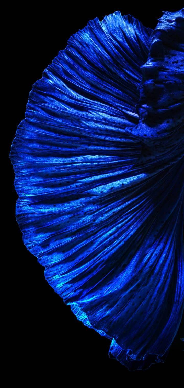 4k iPhone 14 Wallpapers - Top Free 4k iPhone 14 Backgrounds ...