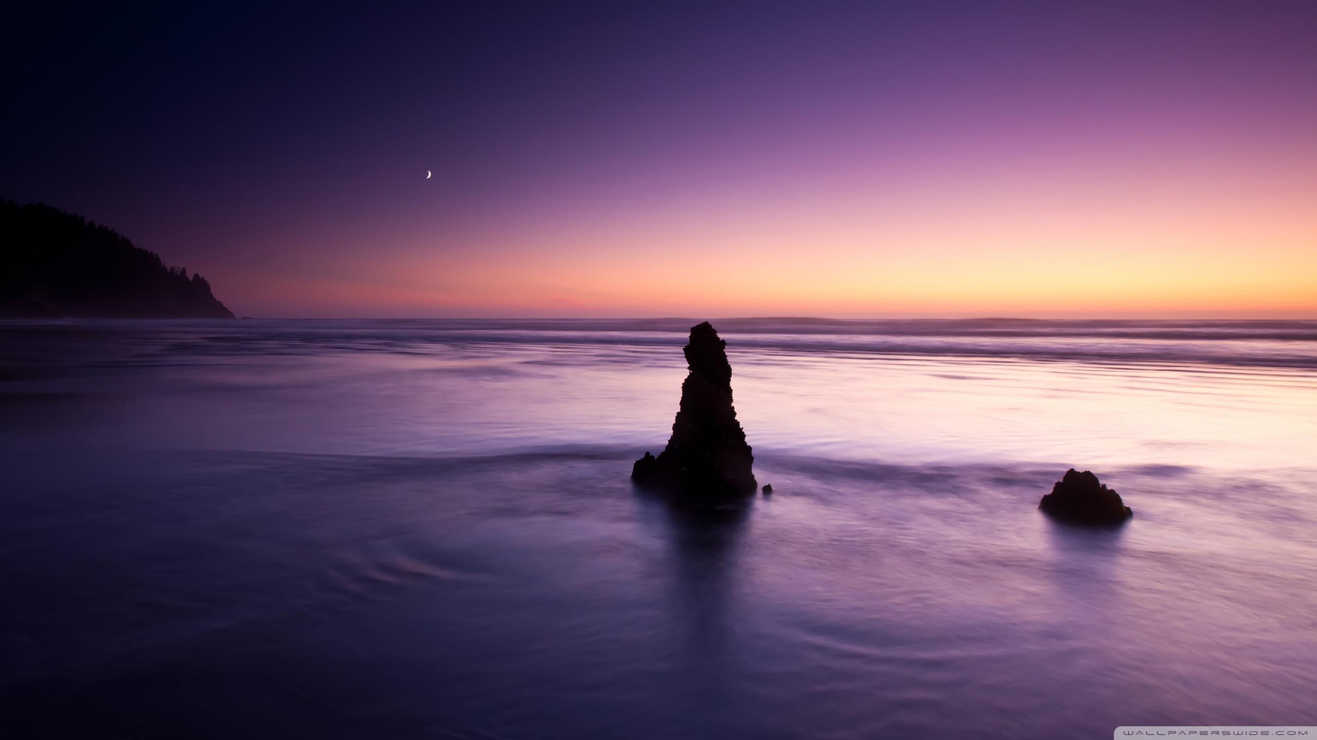Purple Beach Desktop Wallpapers - Top Free Purple Beach Desktop ...
