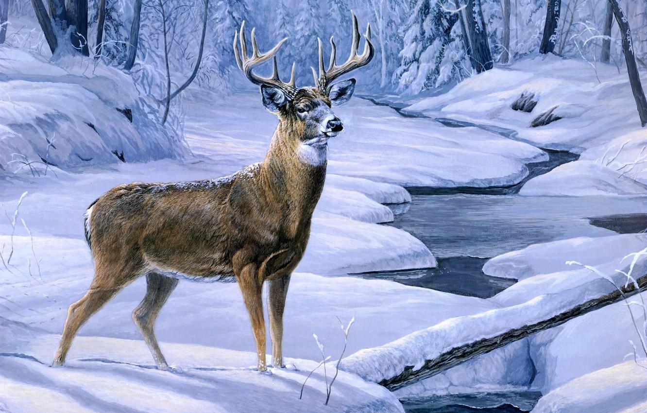 Winter Forest Deer Wallpapers - Top Free Winter Forest Deer Backgrounds ...