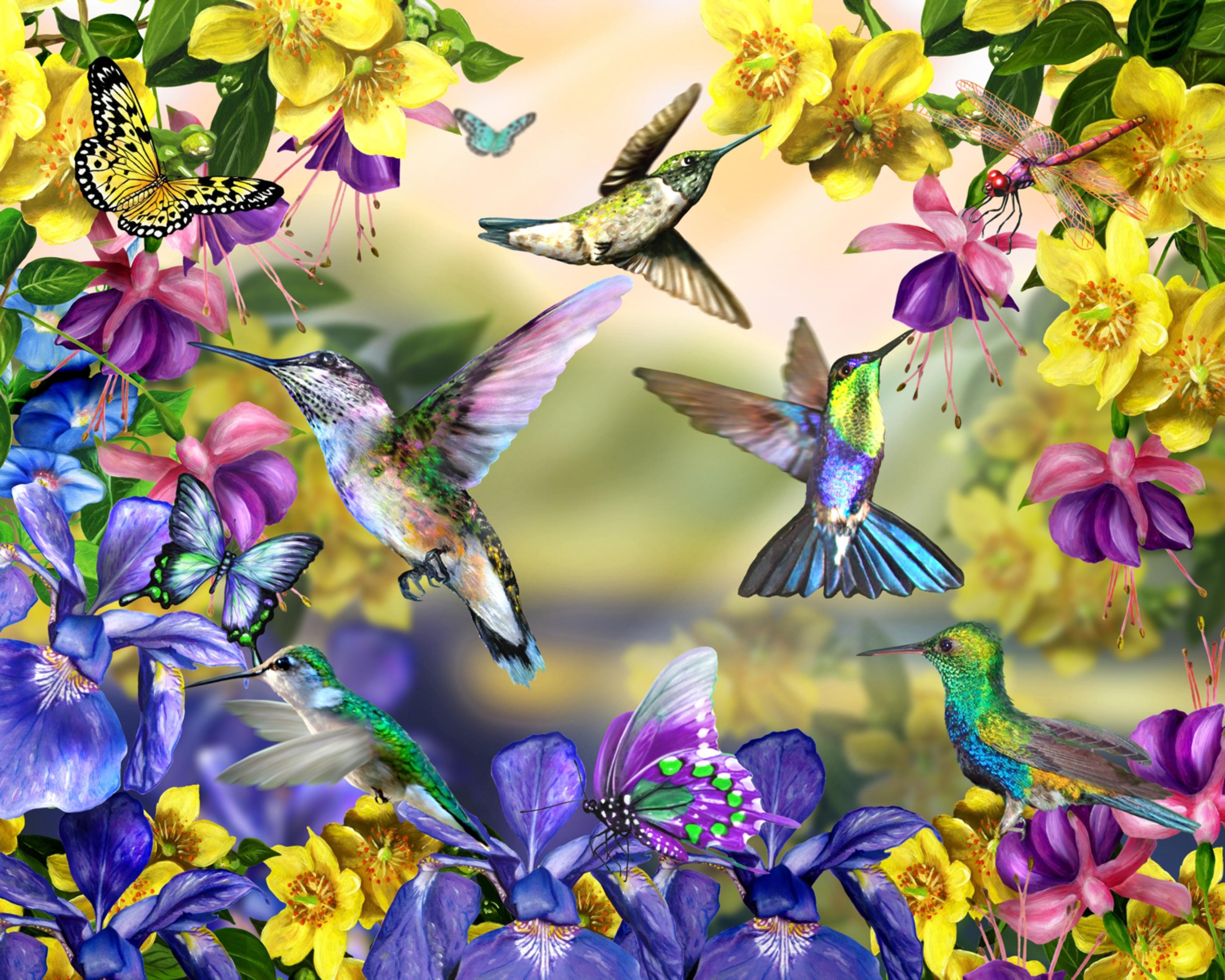 Hummingbirds and Butterflies Wallpapers - Top Free Hummingbirds and ...