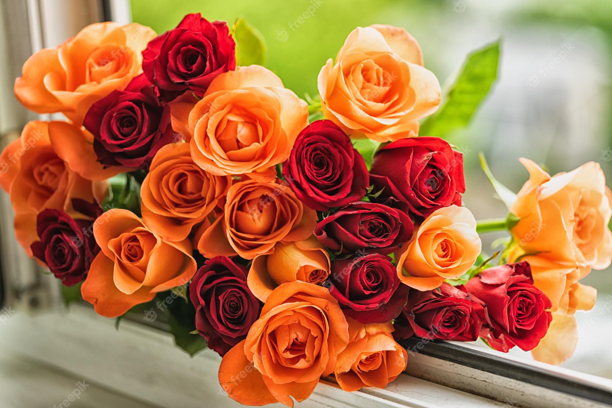 Coral Roses Wallpapers - Top Free Coral Roses Backgrounds - WallpaperAccess