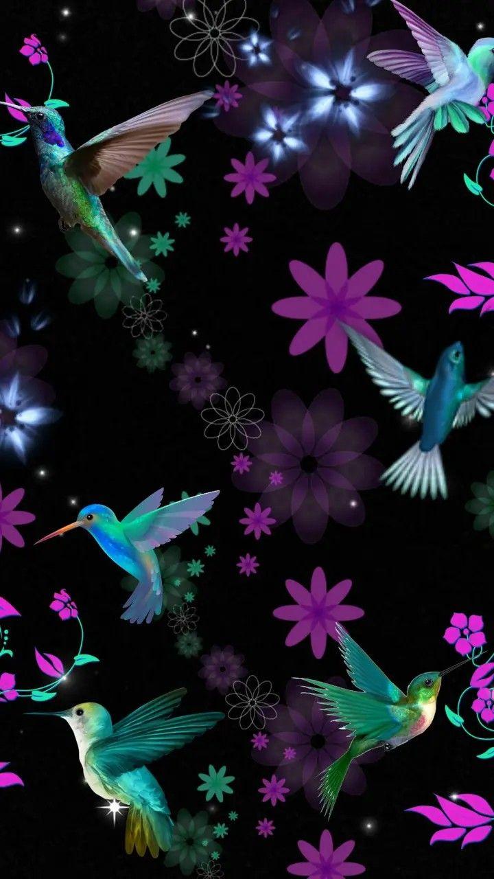 Hummingbirds and Butterflies Wallpapers - Top Free Hummingbirds and ...