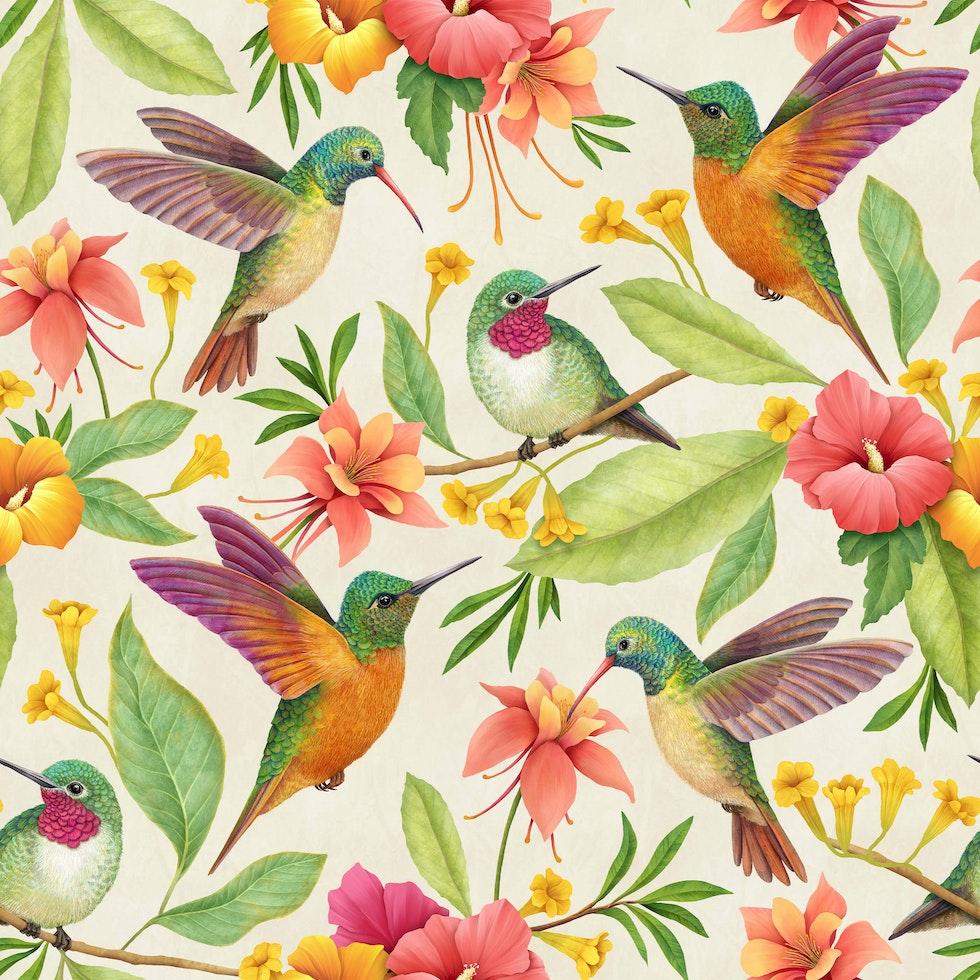 Hummingbirds and Flowers Wallpapers - Top Free Hummingbirds and Flowers ...