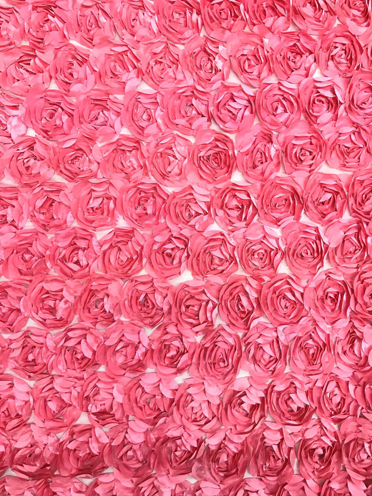 Coral Roses Wallpapers - Top Free Coral Roses Backgrounds - WallpaperAccess