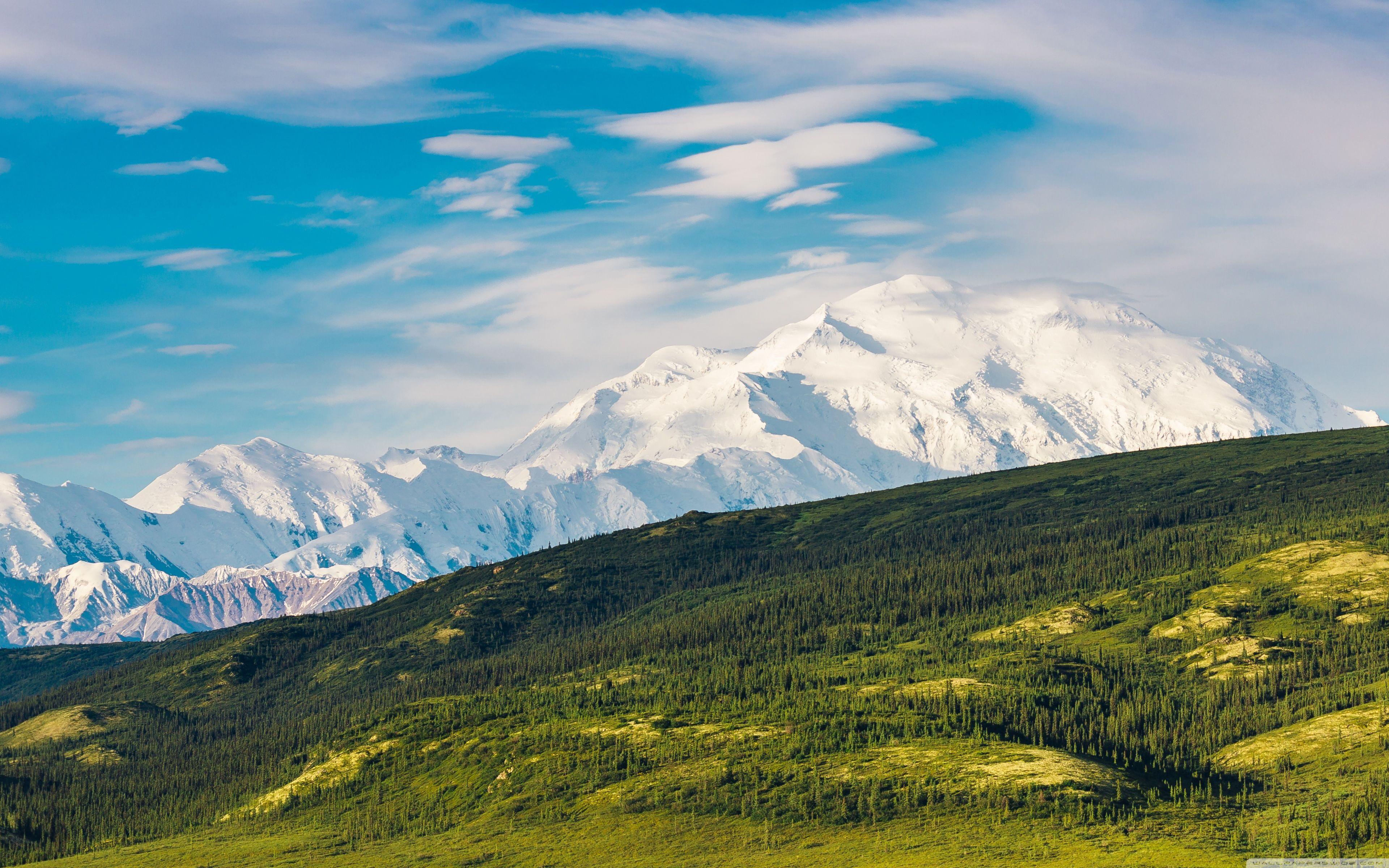 Denali Wallpapers - Top Free Denali Backgrounds - WallpaperAccess
