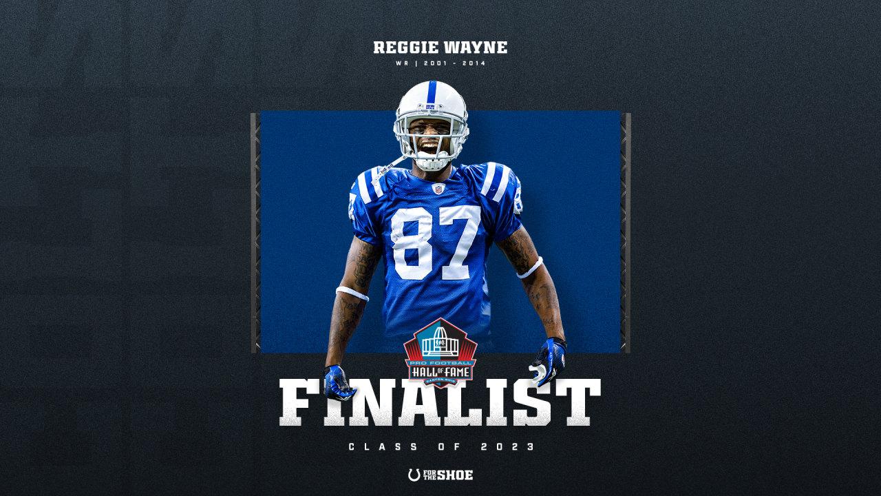 Reggie Wayne Wallpapers - Top Free Reggie Wayne Backgrounds - WallpaperAccess