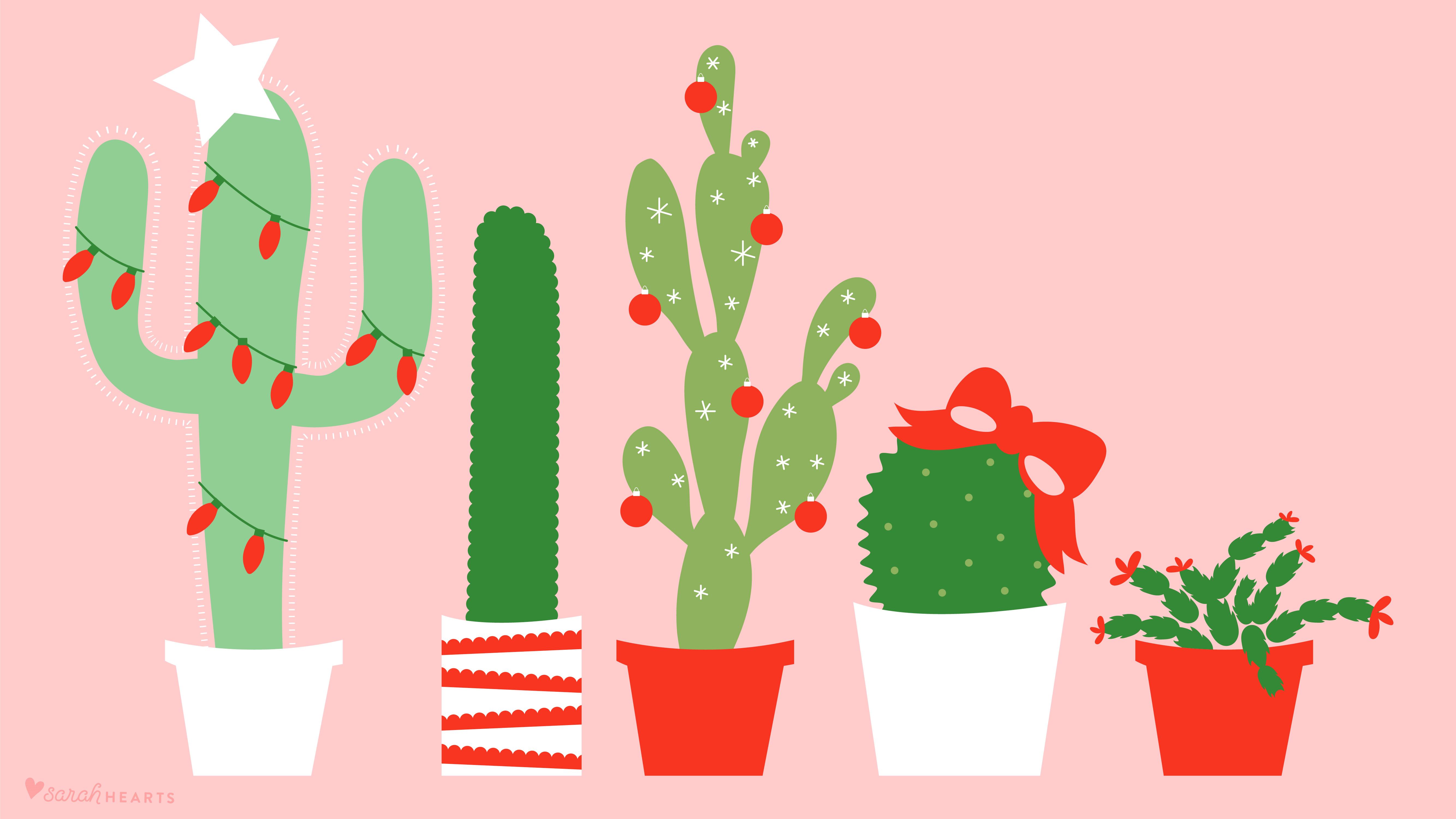 Cactus PC Wallpapers - Top Free Cactus PC Backgrounds - WallpaperAccess