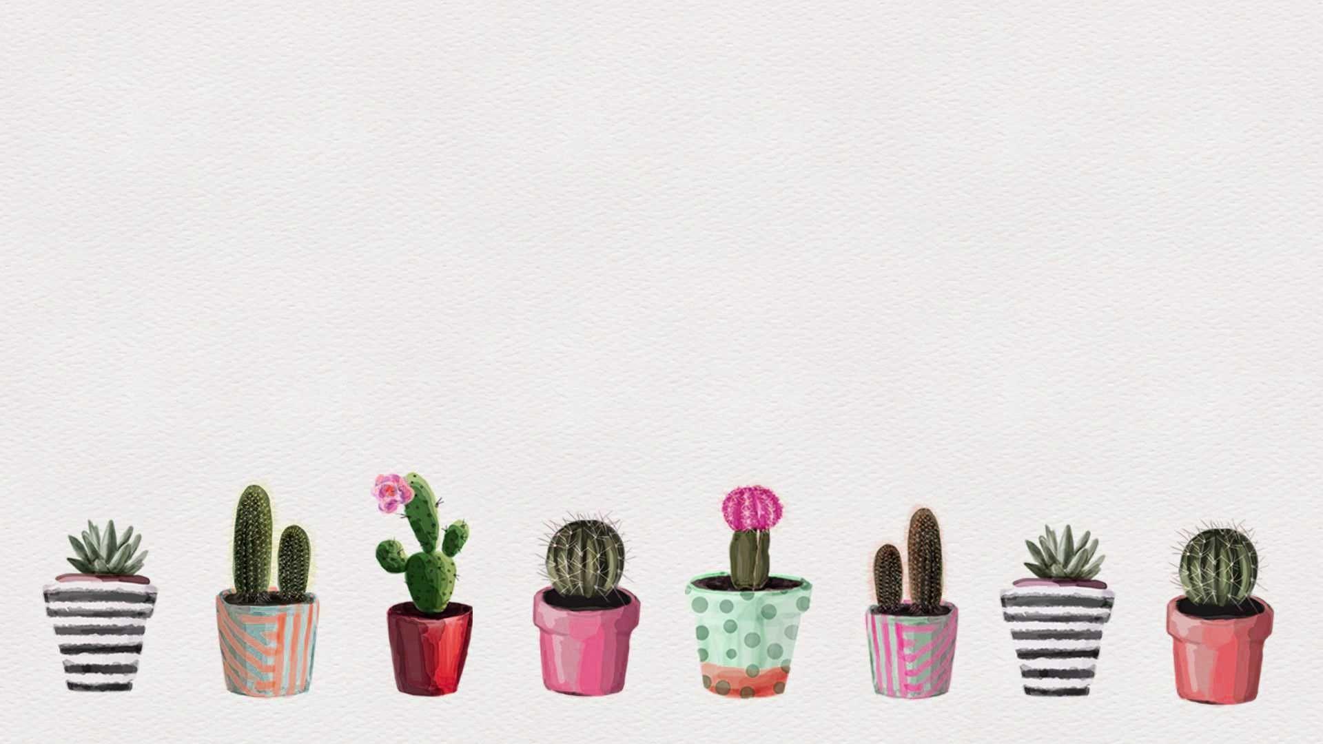 Cactus PC Wallpapers - Top Free Cactus PC Backgrounds - WallpaperAccess