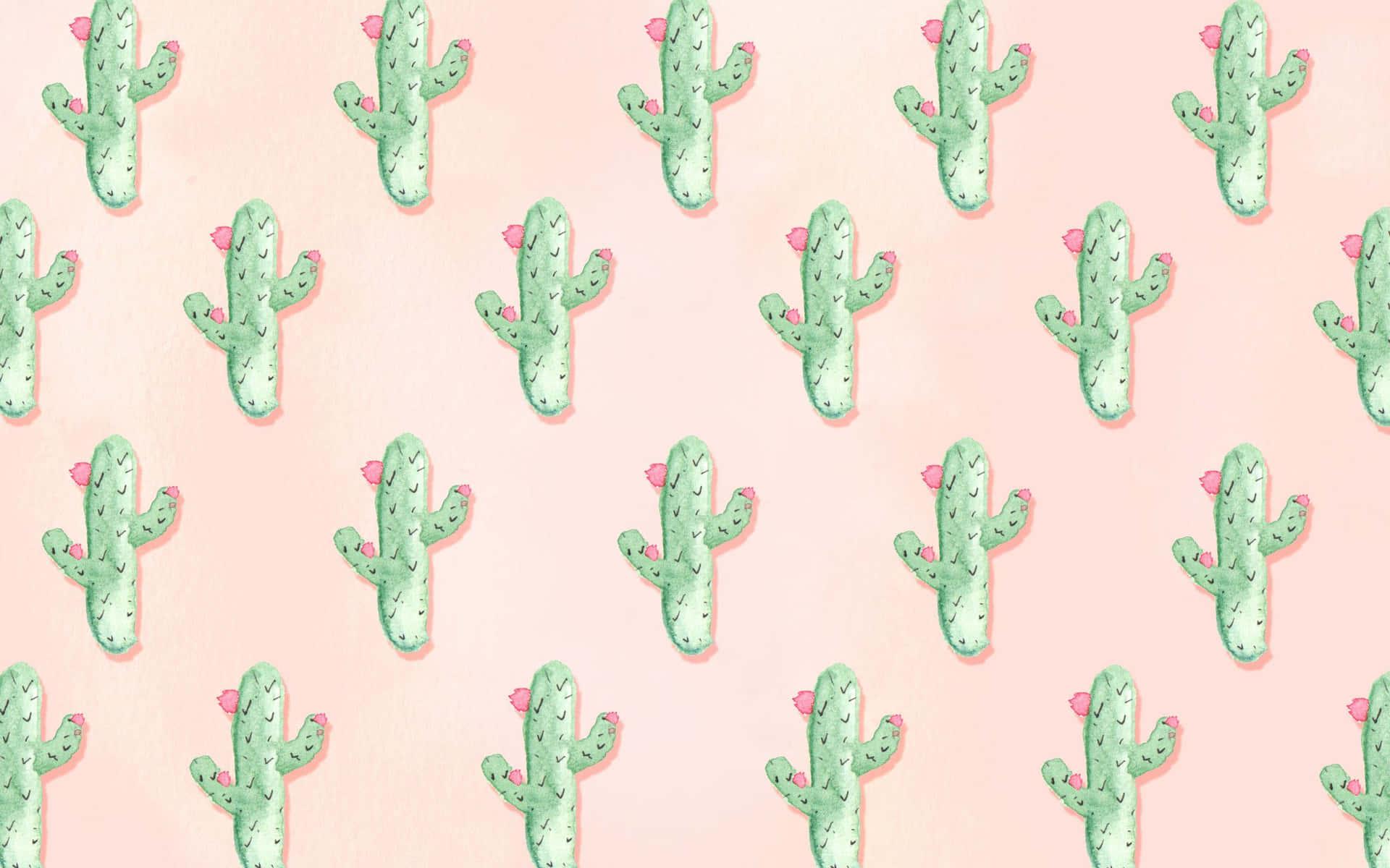 Cactus PC Wallpapers - Top Free Cactus PC Backgrounds - WallpaperAccess