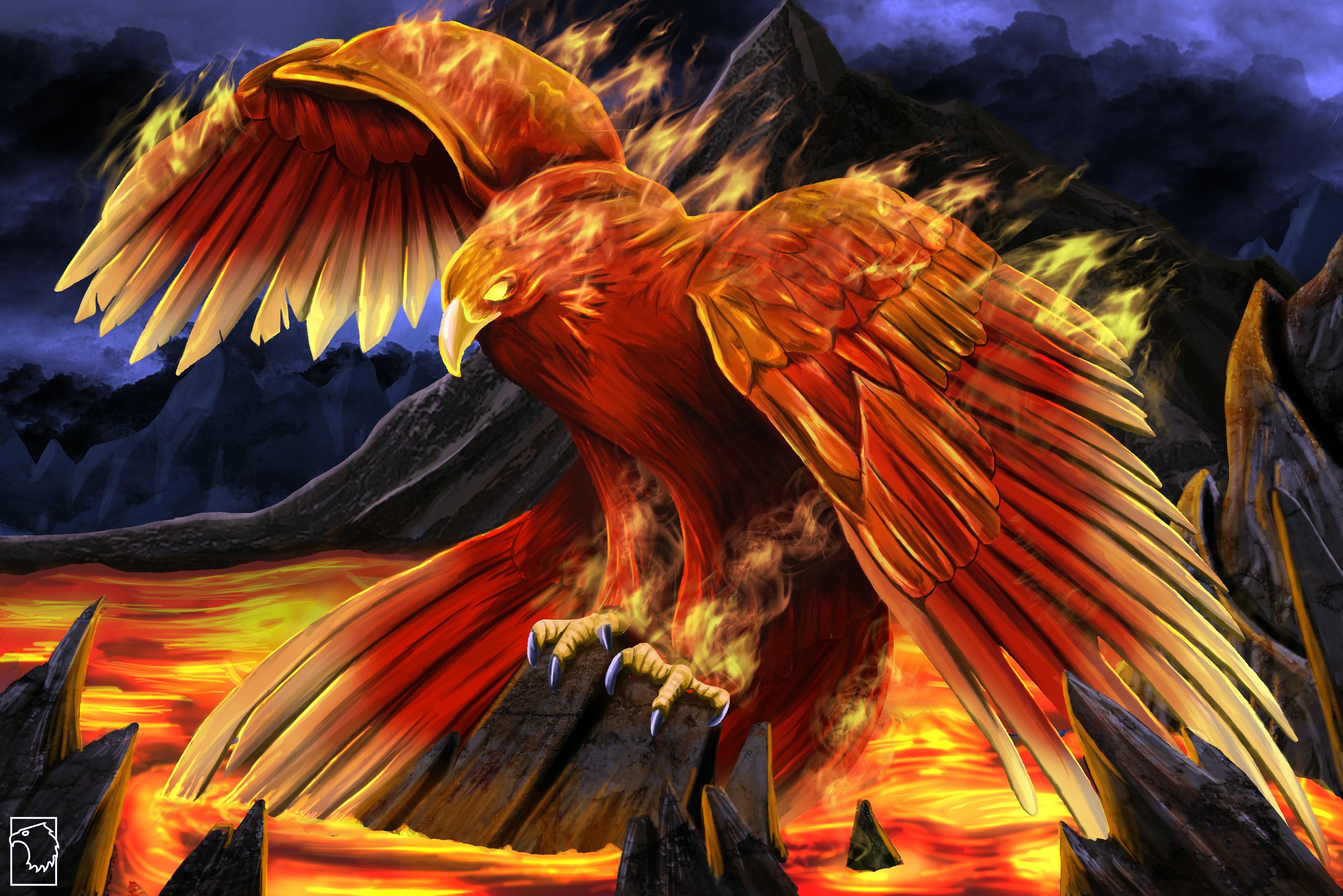 Phoenix Anime Wallpapers - Top Free Phoenix Anime Backgrounds ...