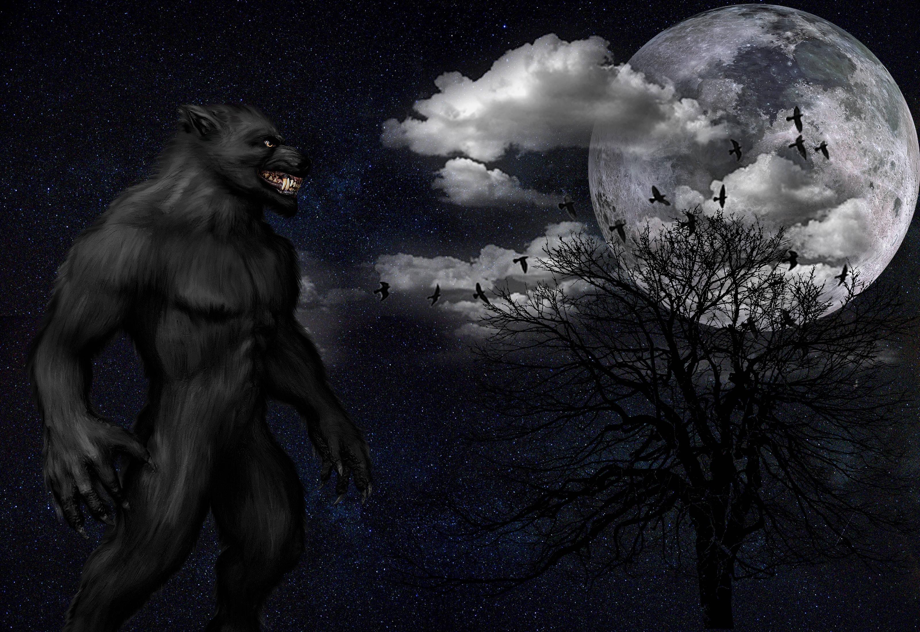 Werewolf by Night Wallpapers - Top Free Werewolf by Night Backgrounds ...