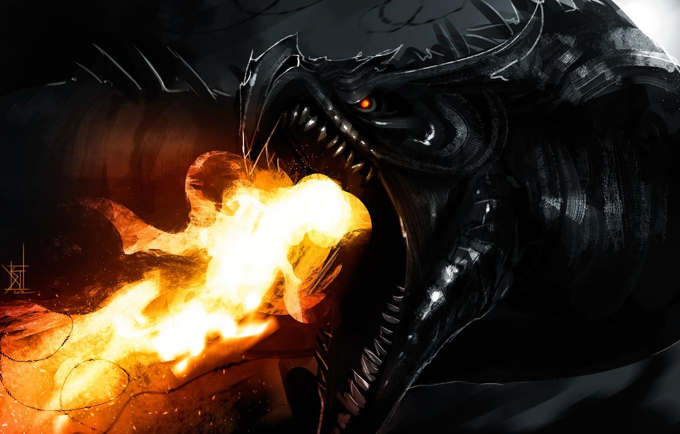 Alduin Wallpapers - Top Free Alduin Backgrounds - WallpaperAccess