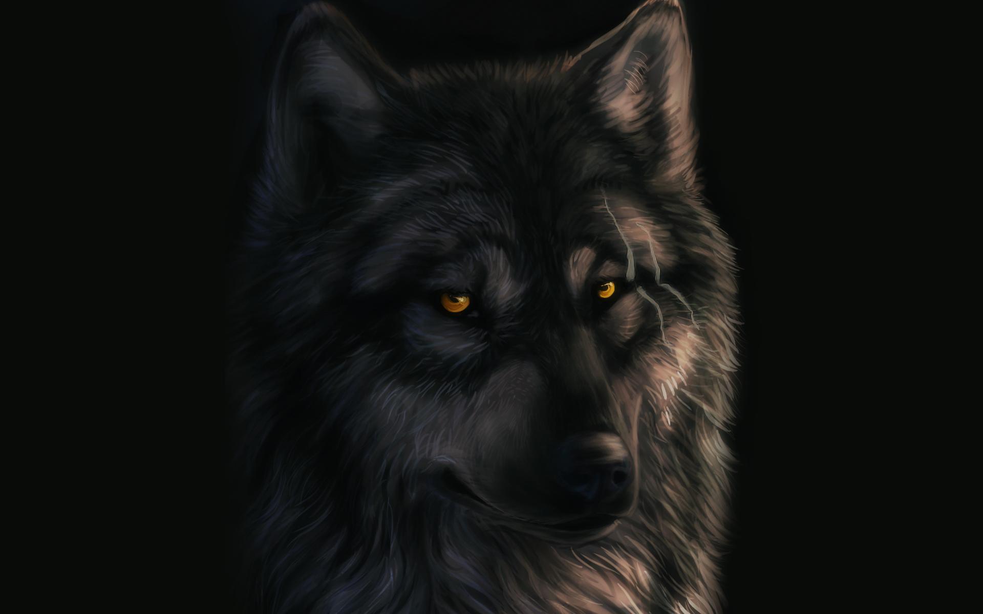 Black Wolf Anime Wallpapers Top Free Black Wolf Anime Backgrounds Wallpaperaccess