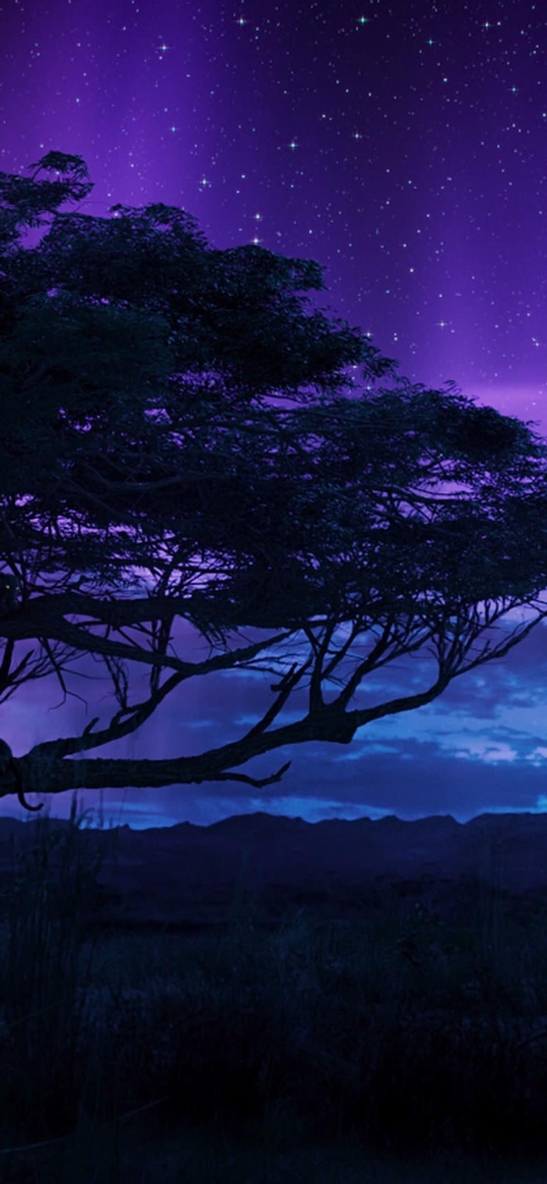Black Panther Tree Wallpapers - Top Free Black Panther Tree Backgrounds ...