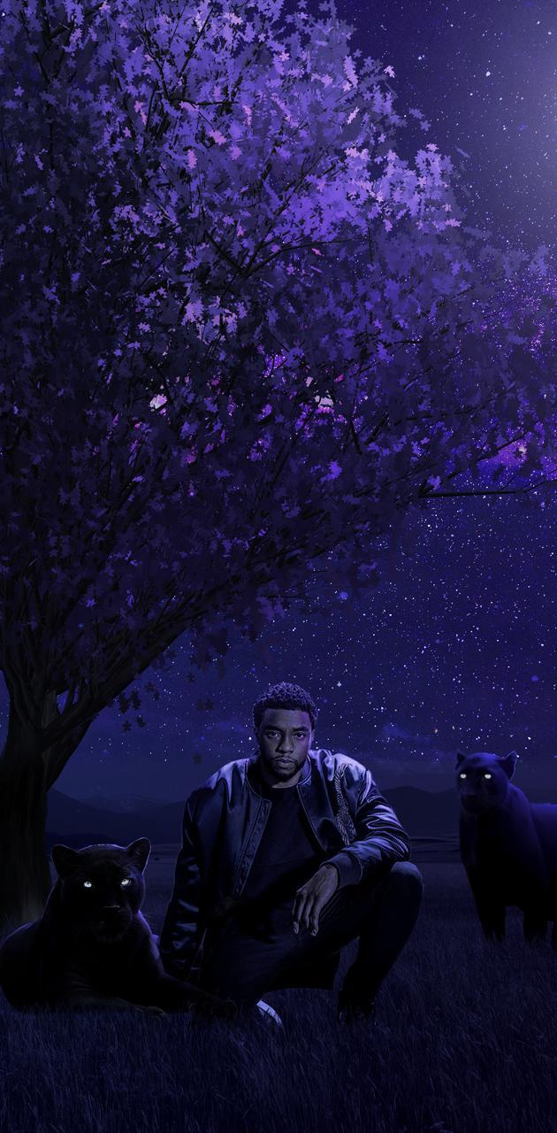 Black Panther Tree Wallpapers - Top Free Black Panther Tree Backgrounds ...
