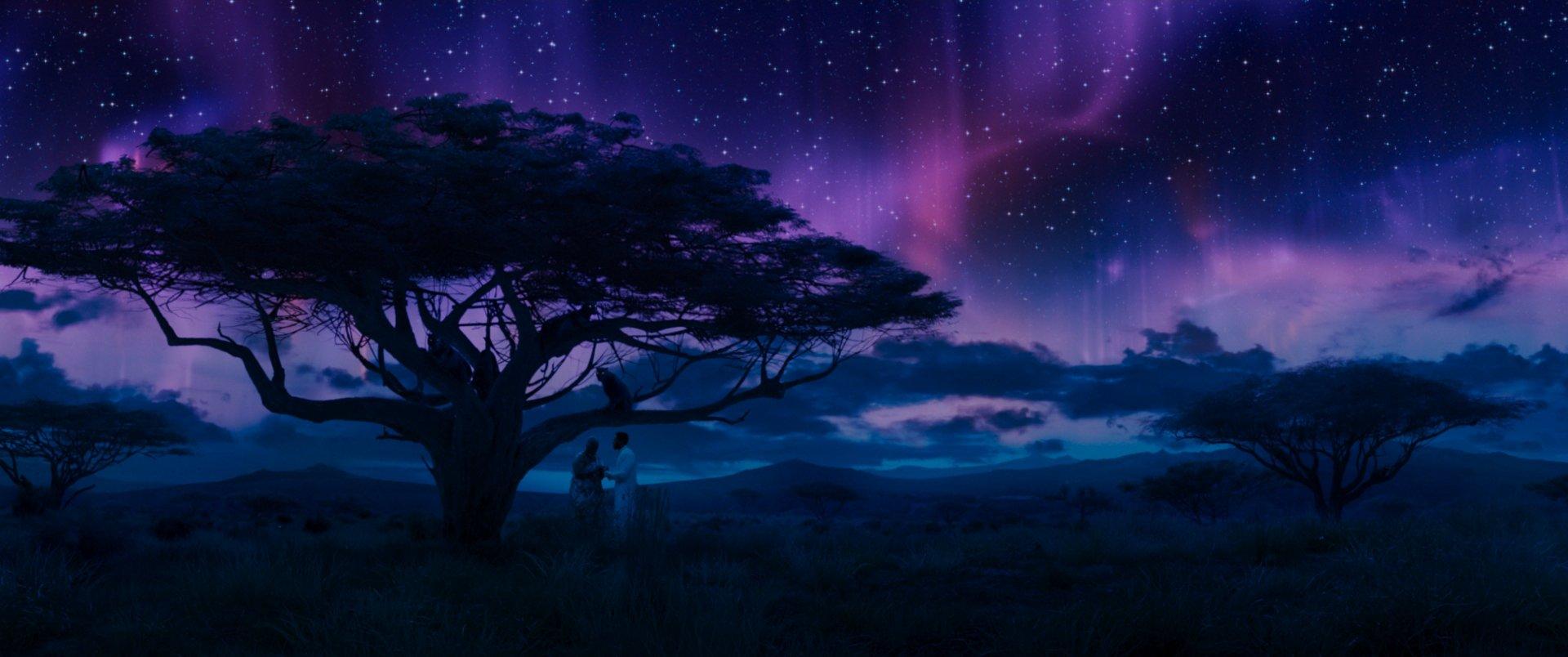 Black Panther Tree Wallpapers - Top Free Black Panther Tree Backgrounds ...
