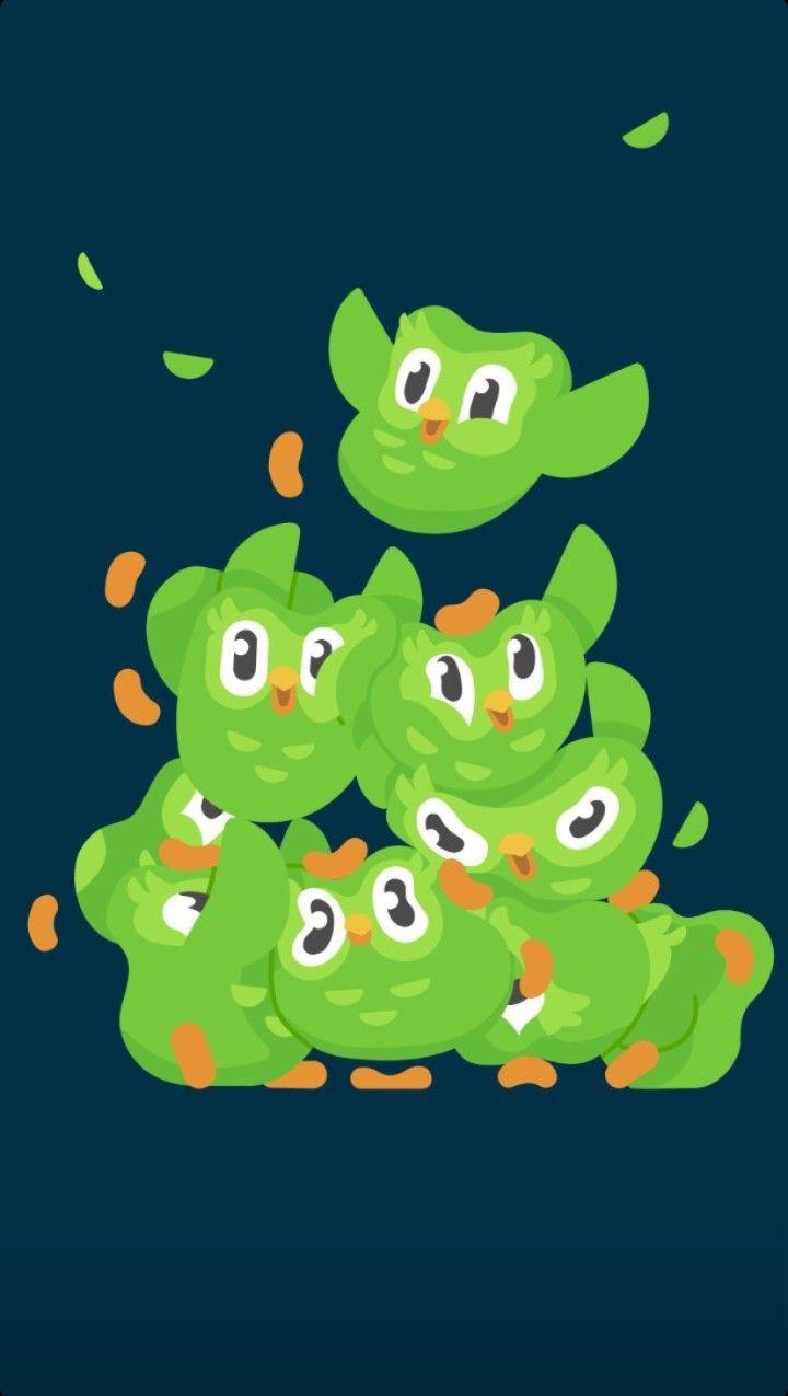 Duolingo Wallpapers - Top Free Duolingo Backgrounds - WallpaperAccess