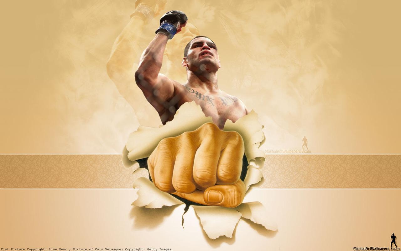 Cain Velasquez Wallpapers - Top Free Cain Velasquez Backgrounds ...