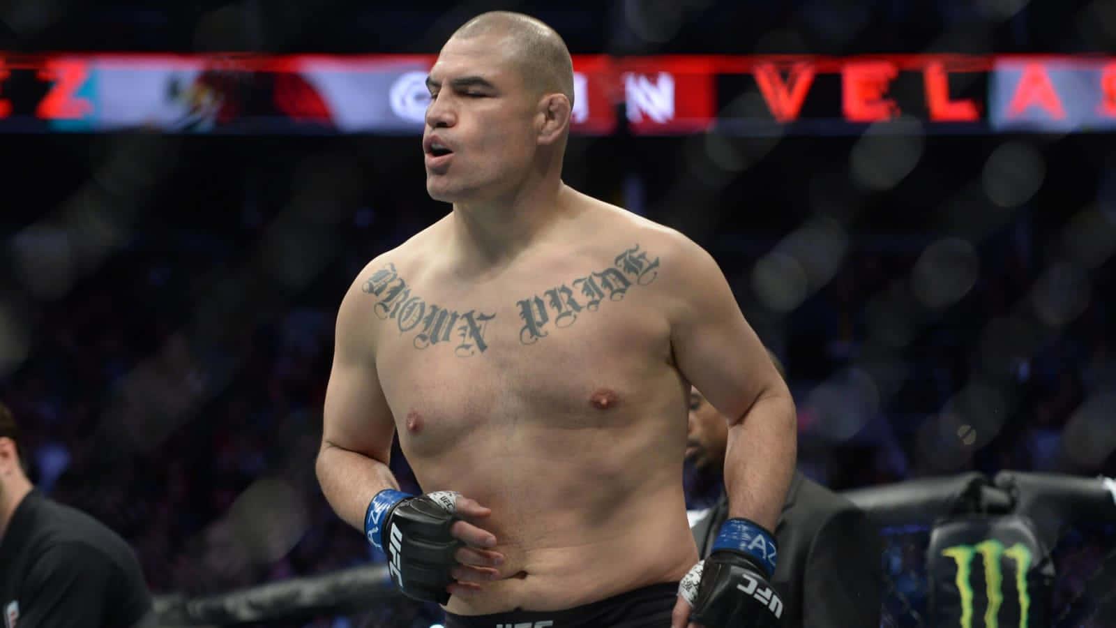 Cain Velasquez Wallpapers - Top Free Cain Velasquez Backgrounds ...