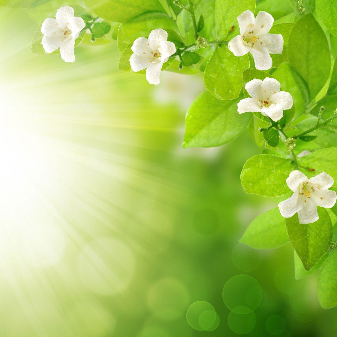 1400x1400 Wallpapers - Top Free 1400x1400 Backgrounds - WallpaperAccess