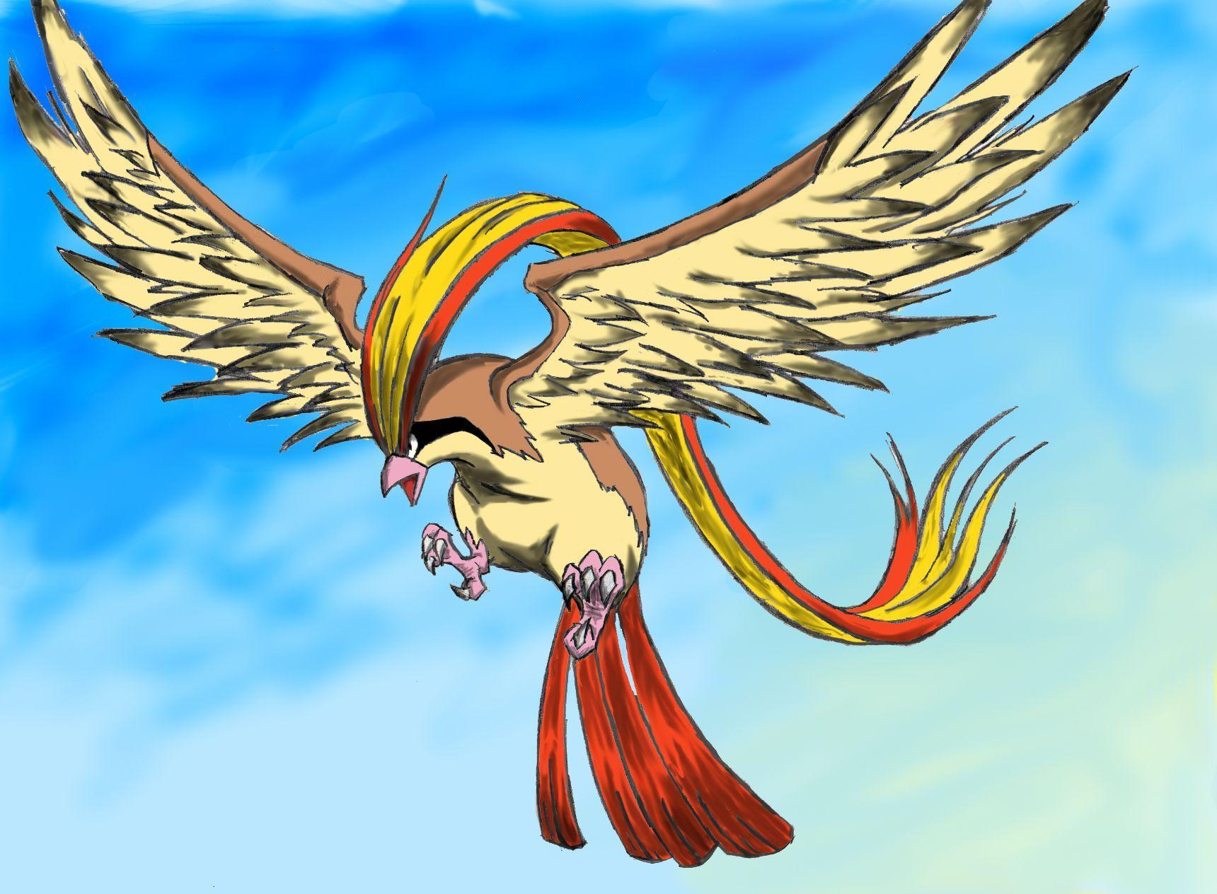 Pidgeot Wallpapers - Top Free Pidgeot Backgrounds - WallpaperAccess