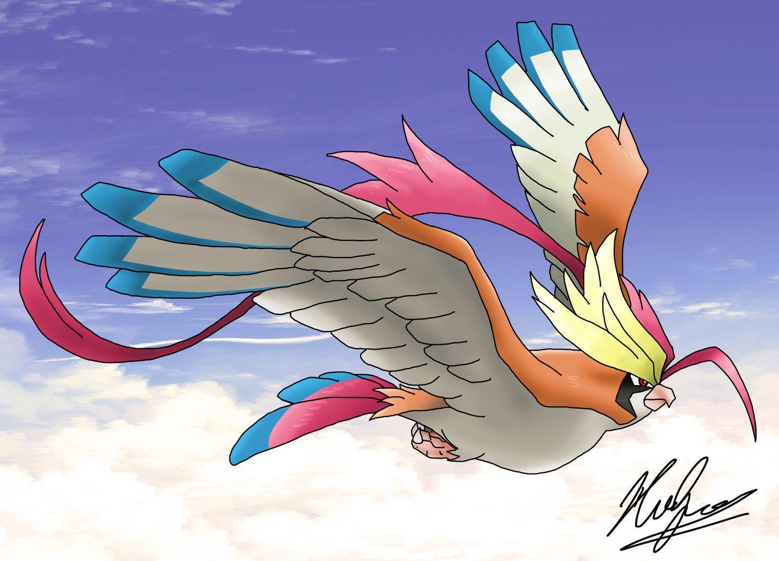 Pidgeot Wallpapers - Top Free Pidgeot Backgrounds - WallpaperAccess