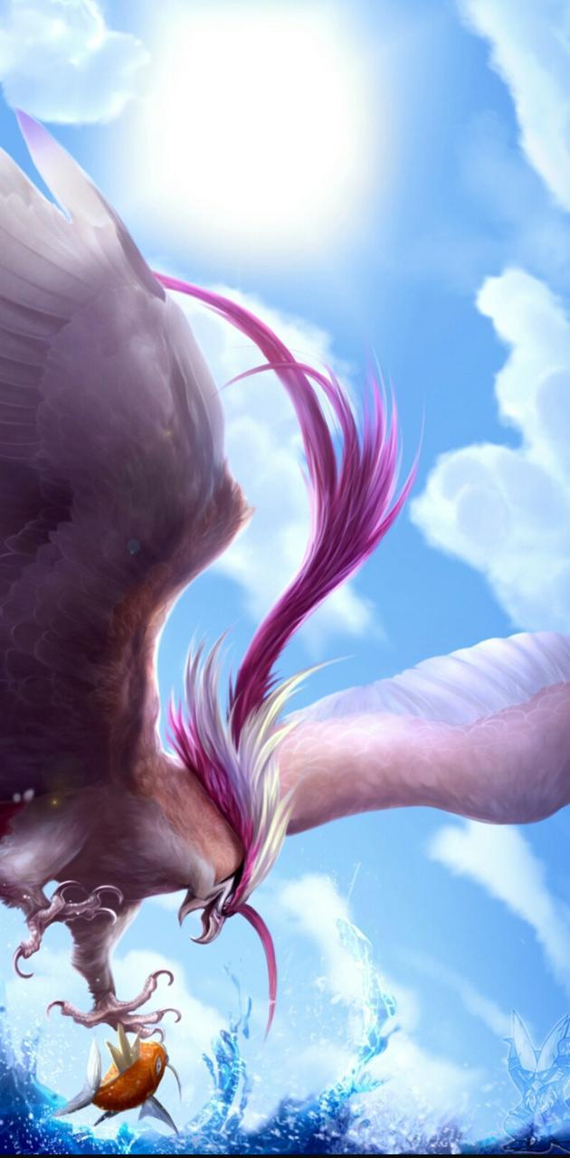 Pidgeot Wallpapers - Top Free Pidgeot Backgrounds - WallpaperAccess