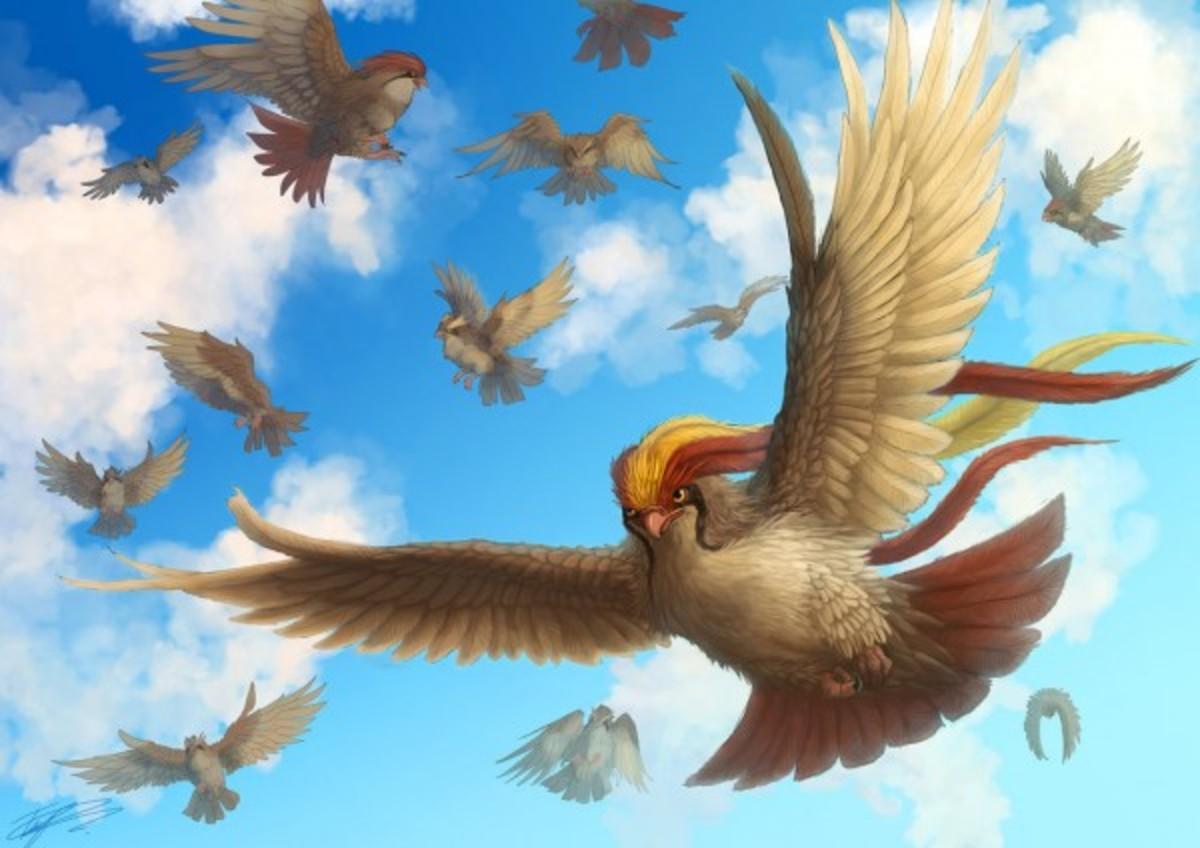 Pidgeot Wallpapers - Top Free Pidgeot Backgrounds - WallpaperAccess