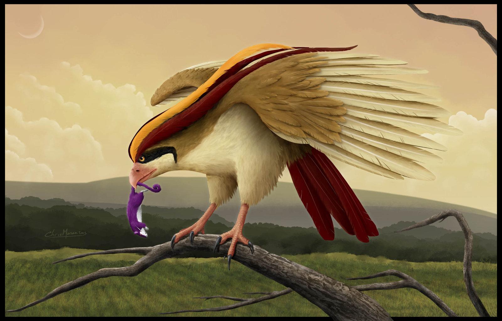 Pidgeot Wallpapers - Top Free Pidgeot Backgrounds - WallpaperAccess