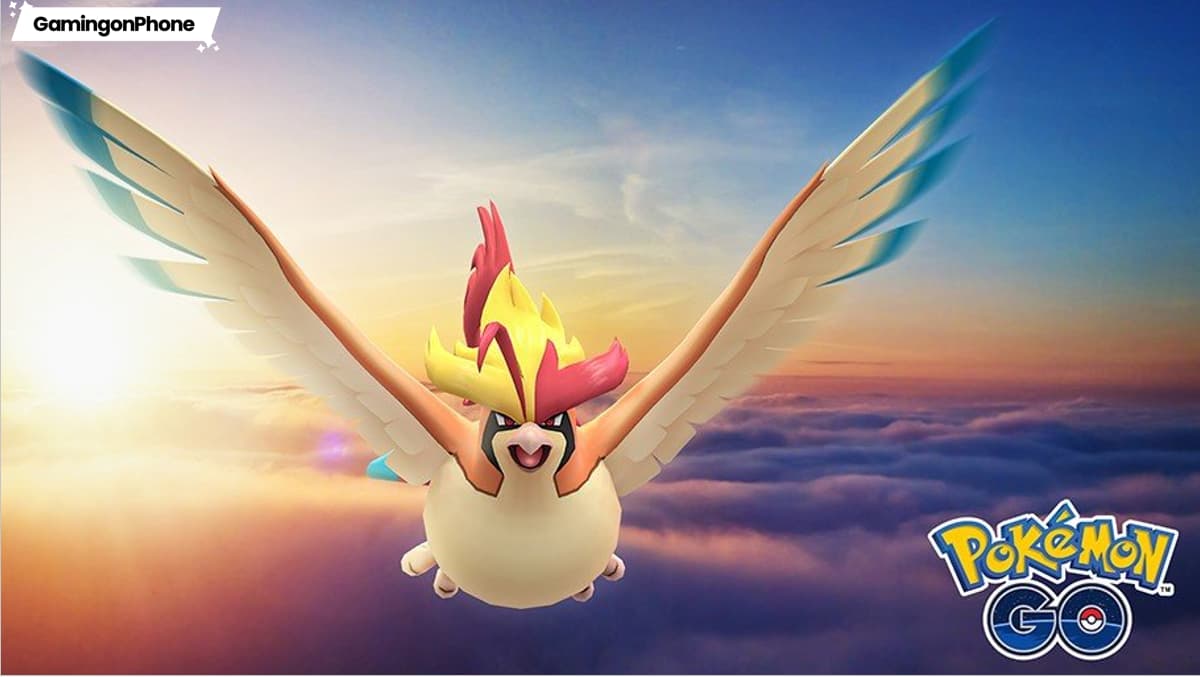 Pidgeot Wallpapers - Top Free Pidgeot Backgrounds - WallpaperAccess