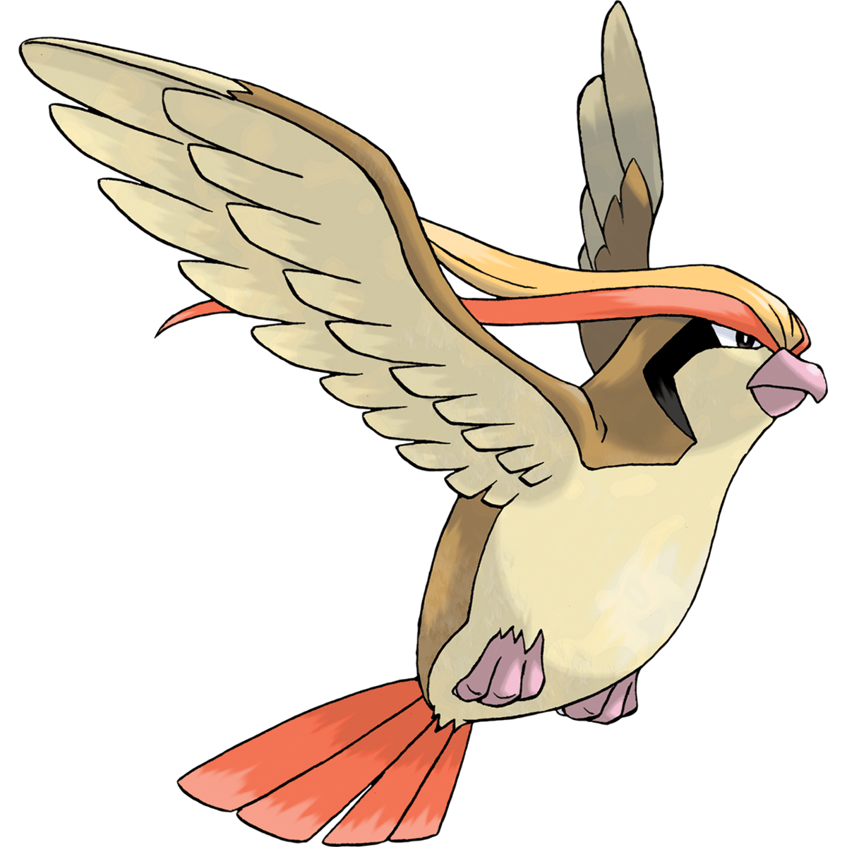 Pidgeot Wallpapers - Top Free Pidgeot Backgrounds - WallpaperAccess