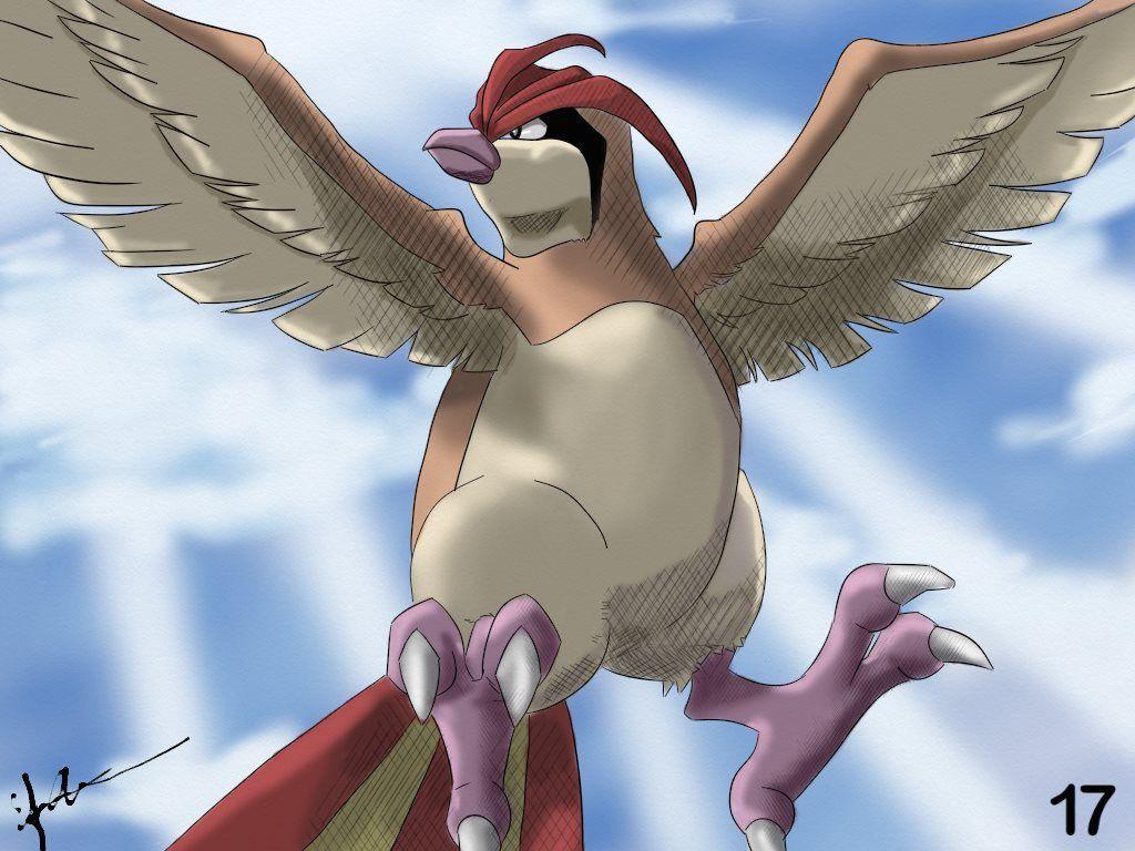 Pidgeot Wallpapers - Top Free Pidgeot Backgrounds - WallpaperAccess