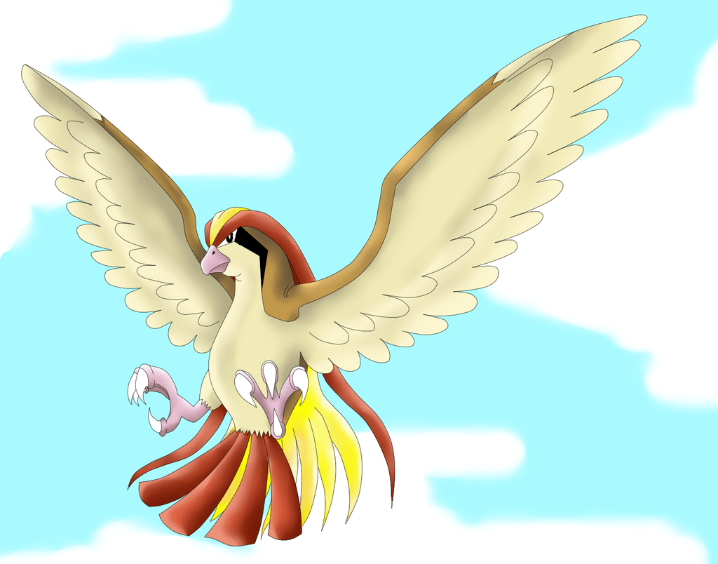 Pidgeot Wallpapers - Top Free Pidgeot Backgrounds - WallpaperAccess