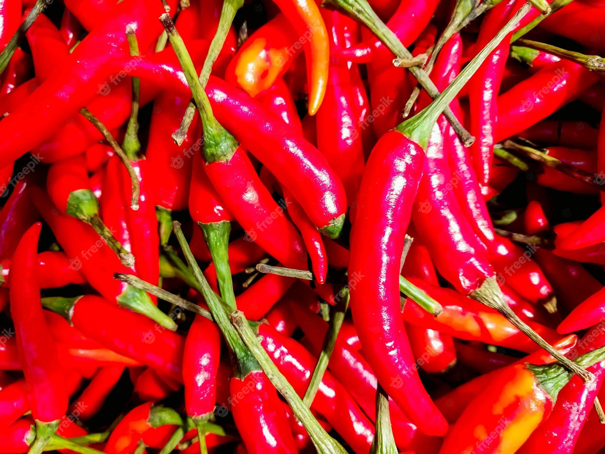 Red Chilli Wallpapers - Top Free Red Chilli Backgrounds - WallpaperAccess
