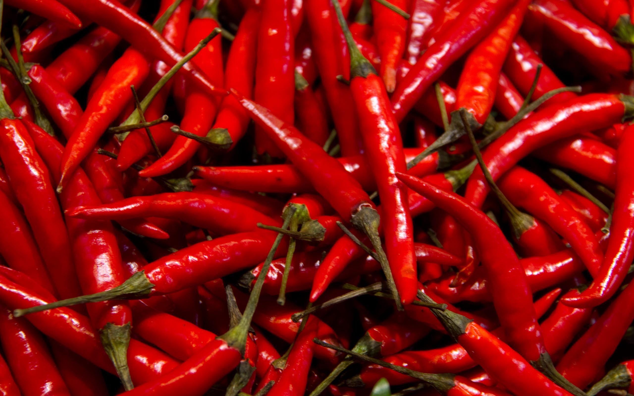 Red Chilli Wallpapers - Top Free Red Chilli Backgrounds - WallpaperAccess