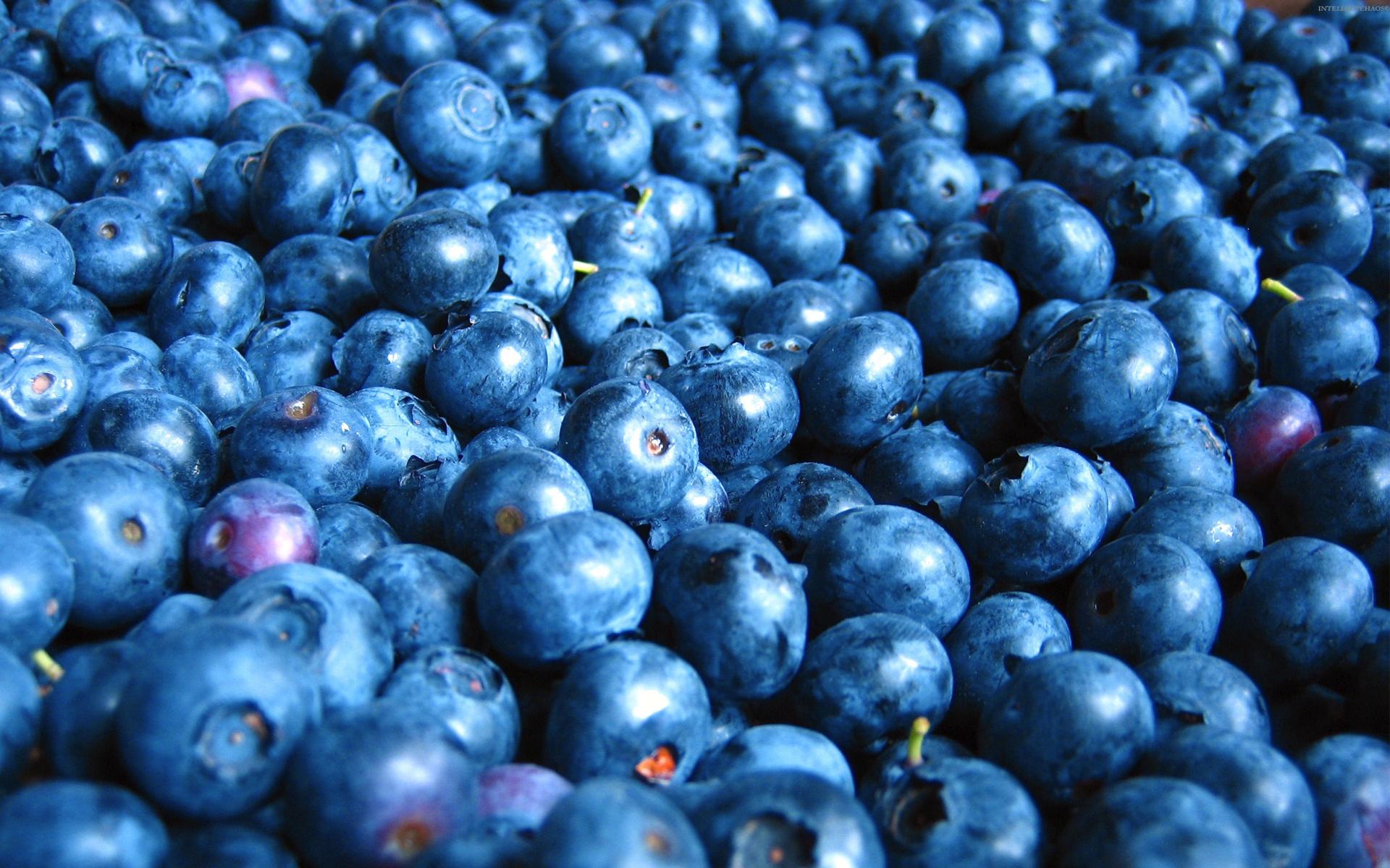Blueberry HD Wallpapers - Top Free Blueberry HD Backgrounds ...