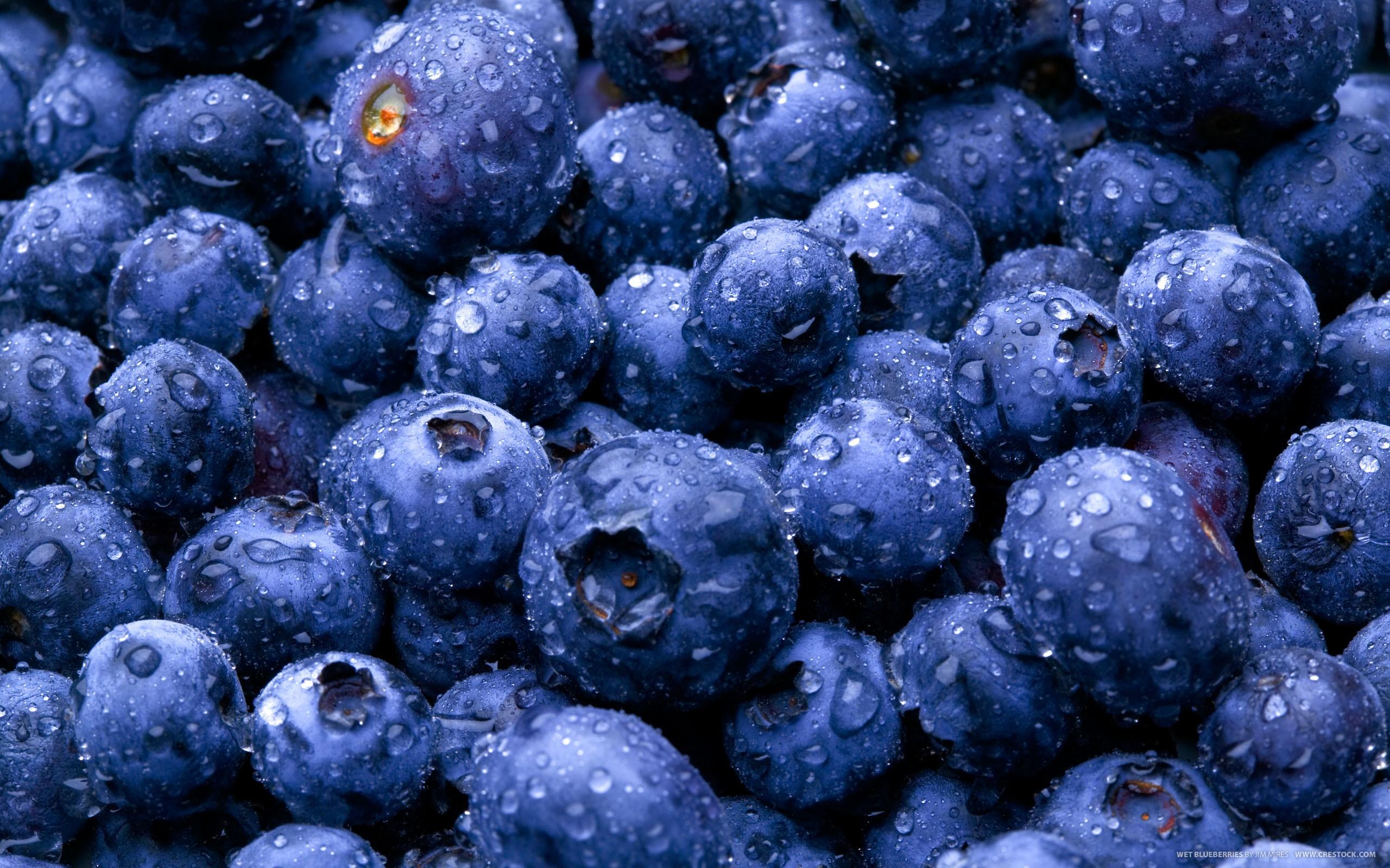 Blueberry HD Wallpapers - Top Free Blueberry HD Backgrounds ...