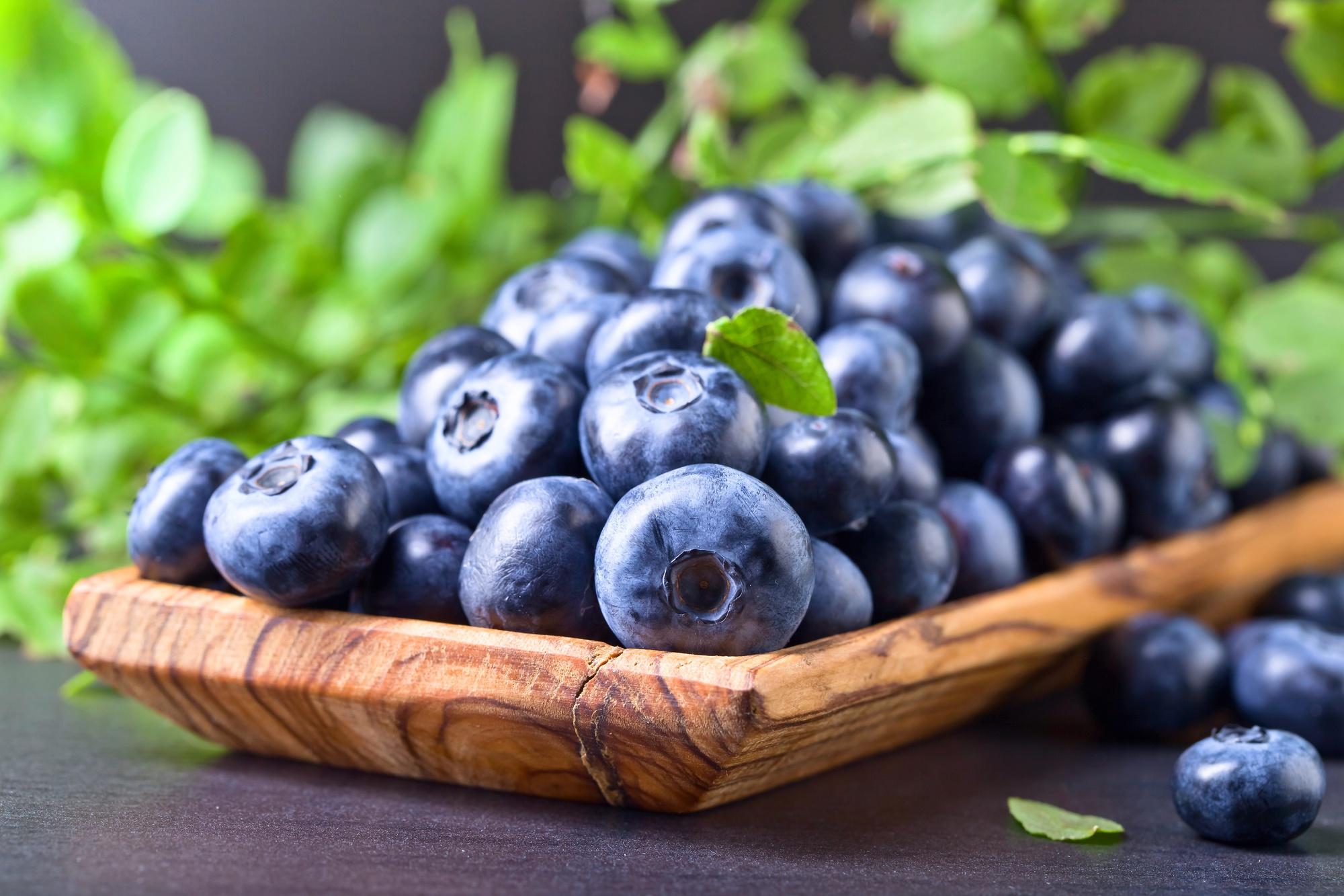 Blueberry HD Wallpapers - Top Free Blueberry HD Backgrounds ...