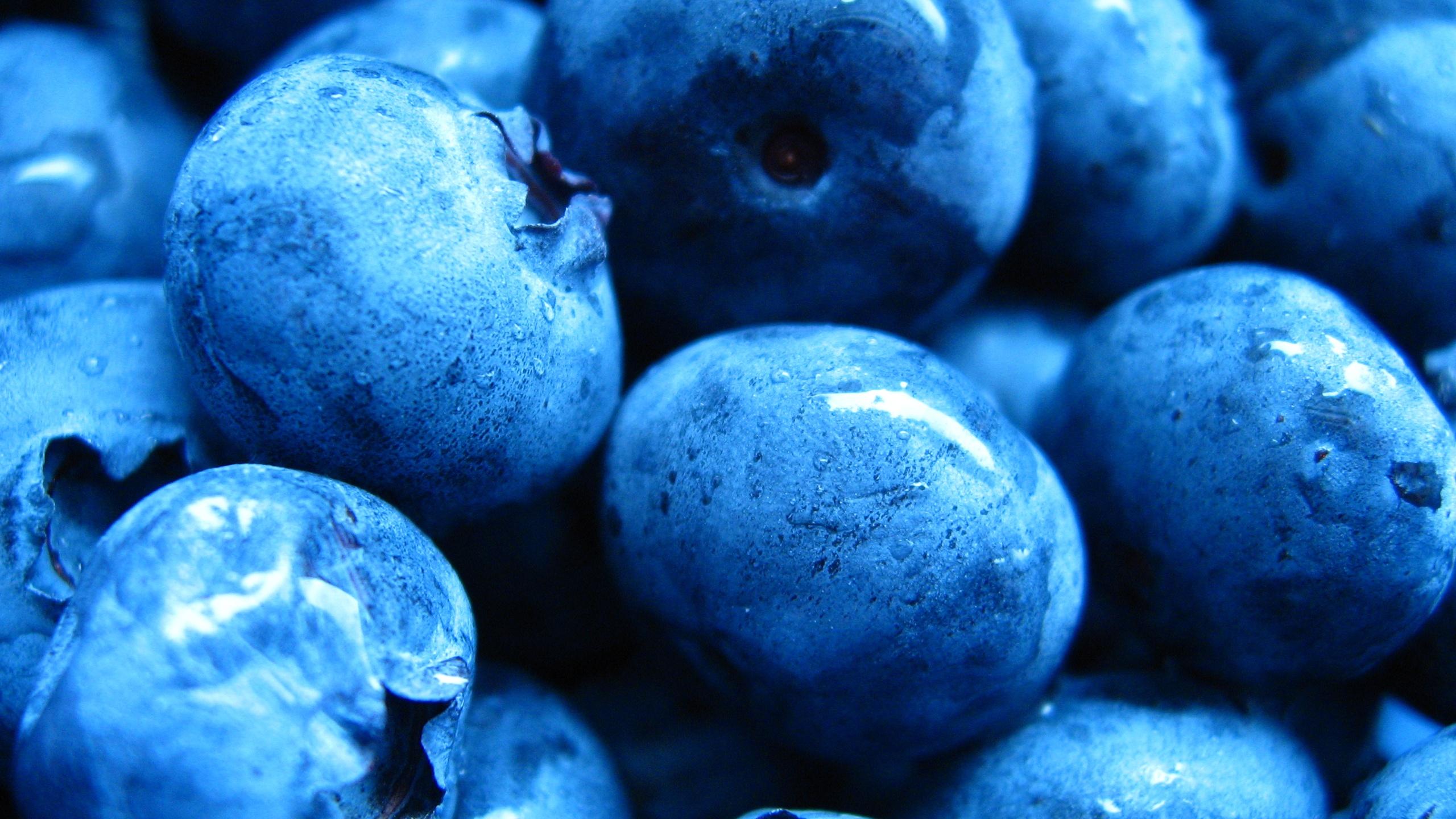 Blueberry HD Wallpapers - Top Free Blueberry HD Backgrounds ...