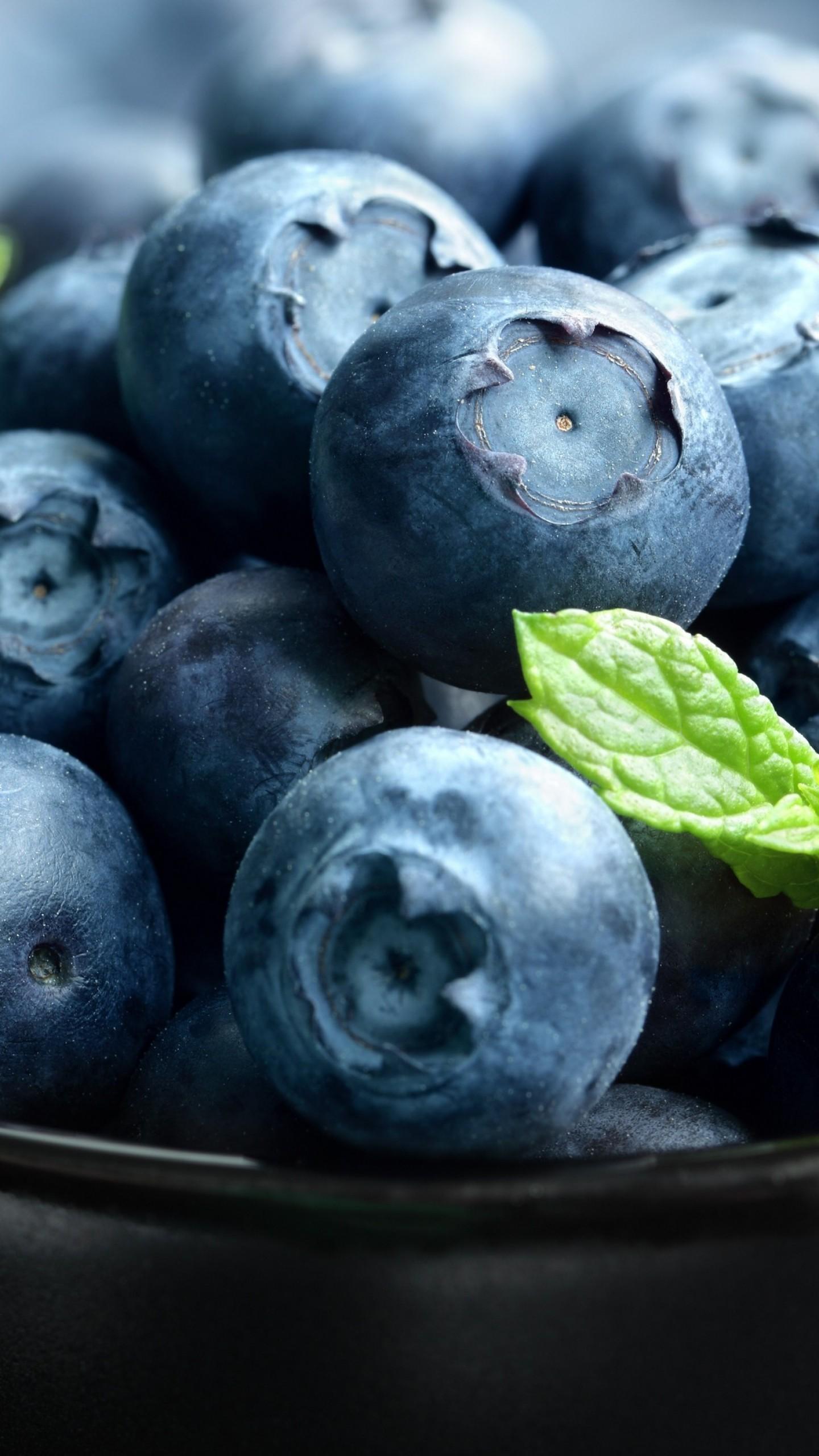 Blueberry HD Wallpapers - Top Free Blueberry HD Backgrounds ...