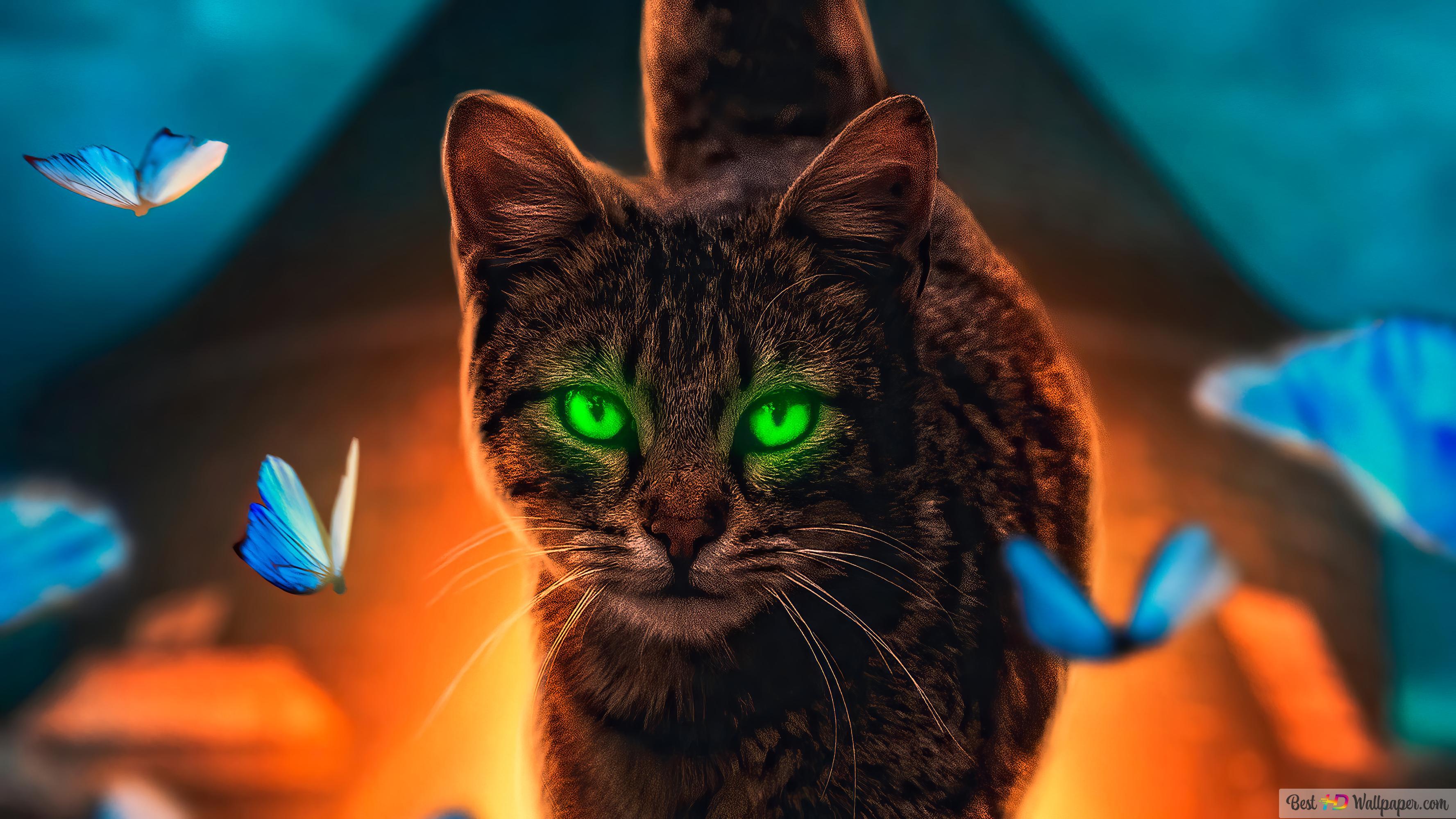 4K Cat Wallpapers - Top Free 4K Cat Backgrounds - WallpaperAccess