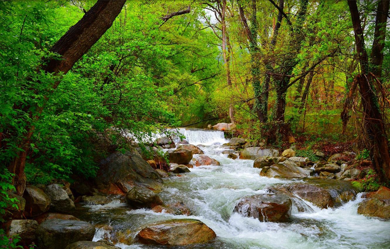 Spring Streams Wallpapers - Top Free Spring Streams Backgrounds ...