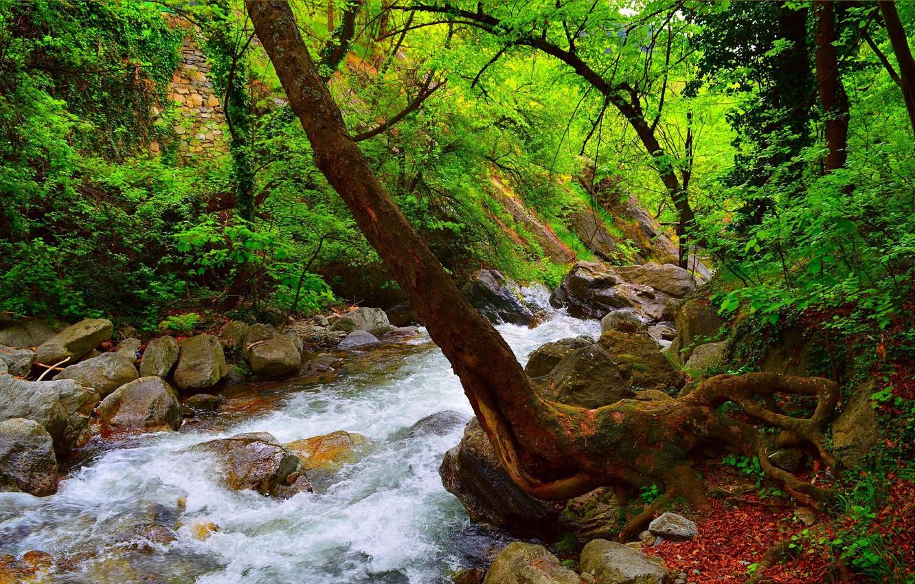 Spring Streams Wallpapers - Top Free Spring Streams Backgrounds ...