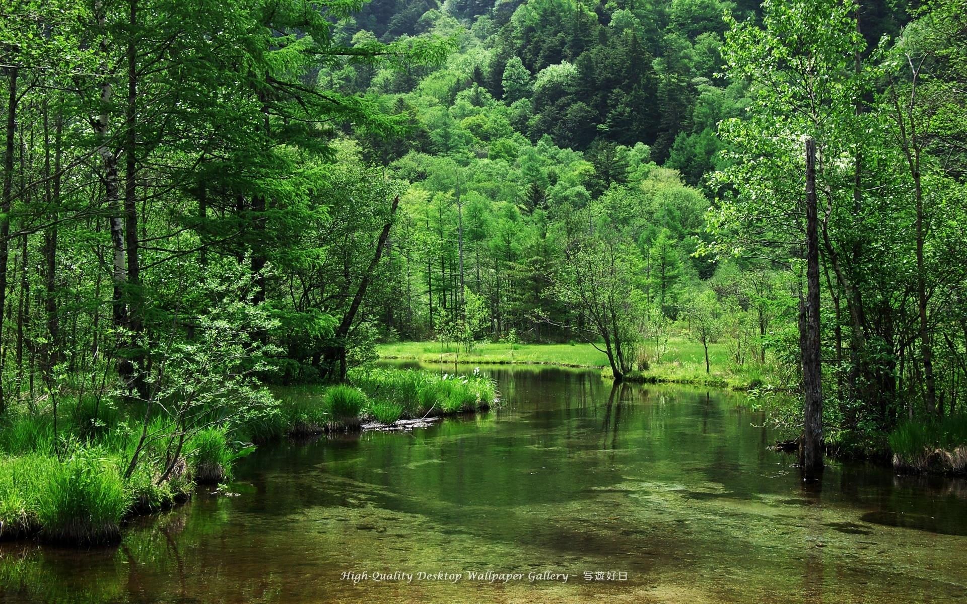 Spring Streams Wallpapers - Top Free Spring Streams Backgrounds ...