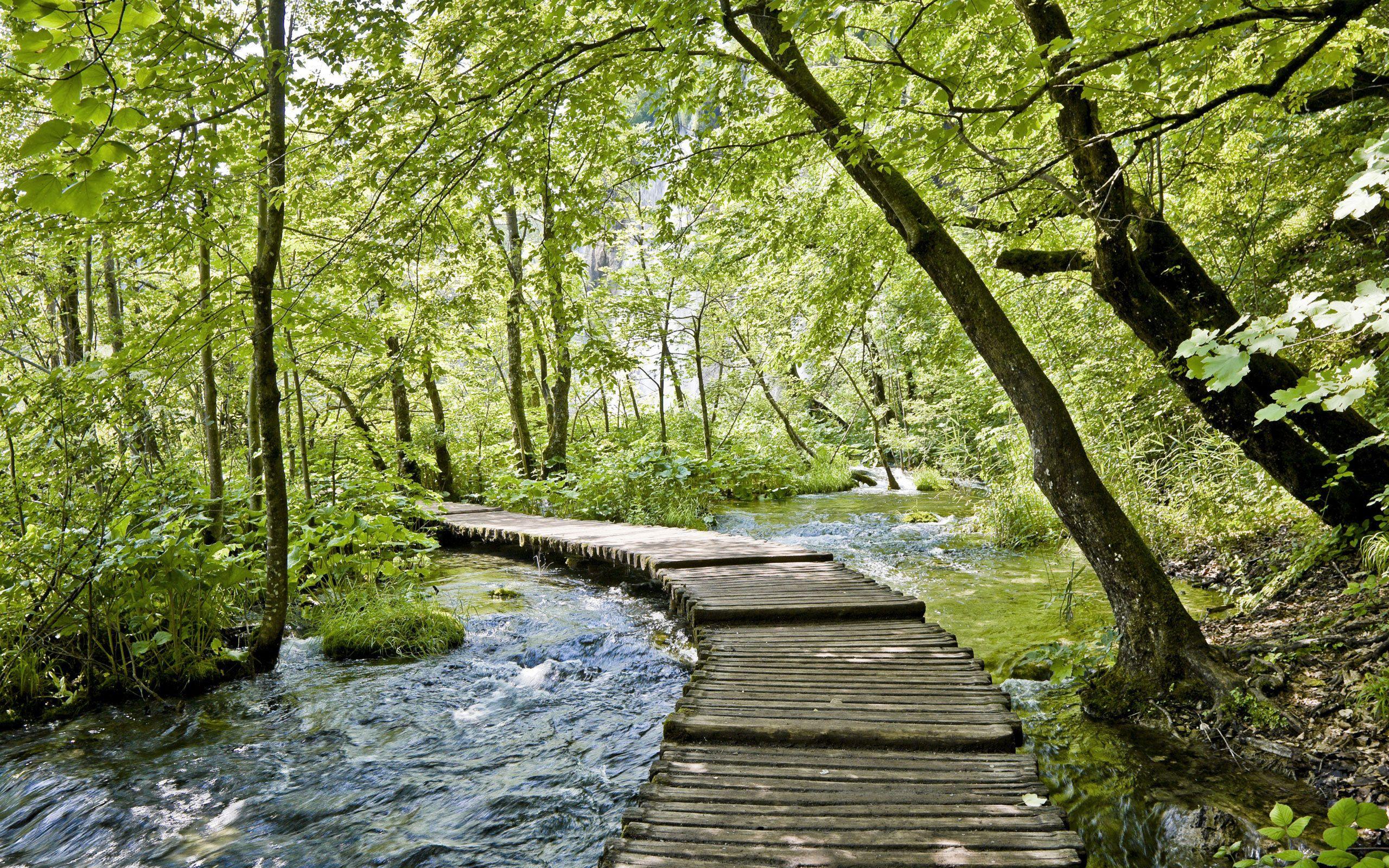 Spring Streams Wallpapers - Top Free Spring Streams Backgrounds ...