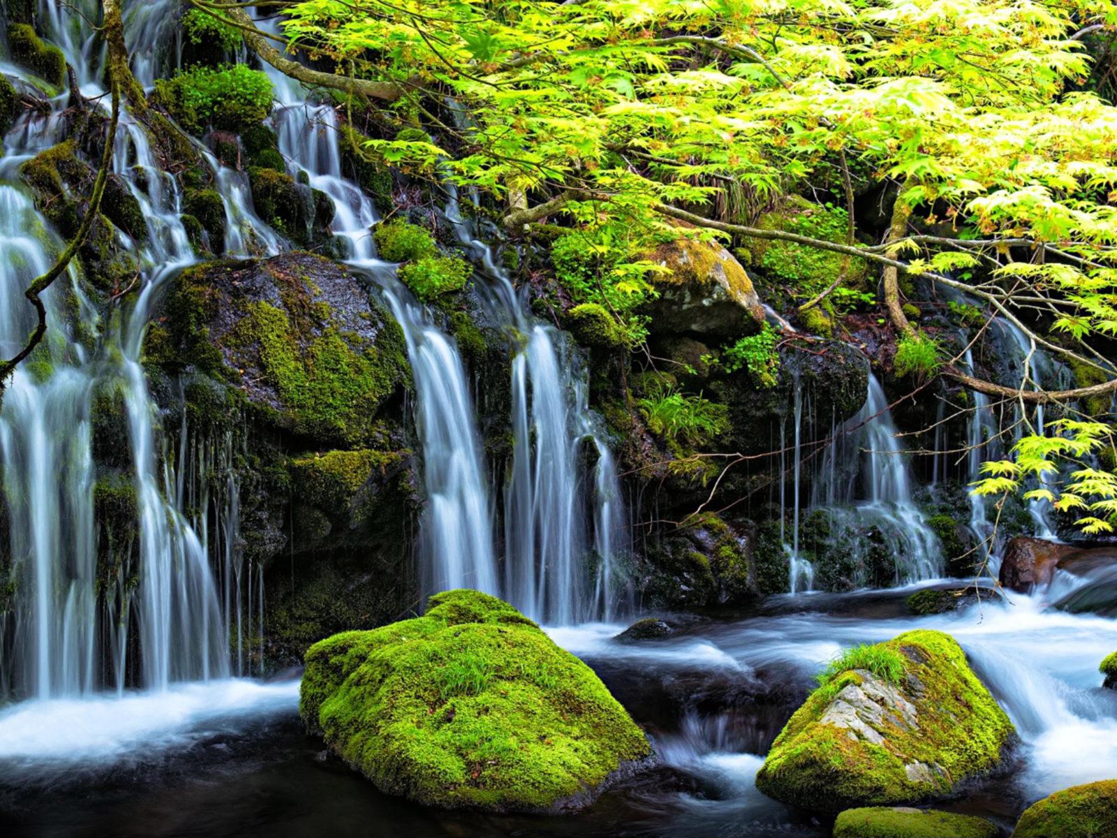 Spring Streams Wallpapers - Top Free Spring Streams Backgrounds ...