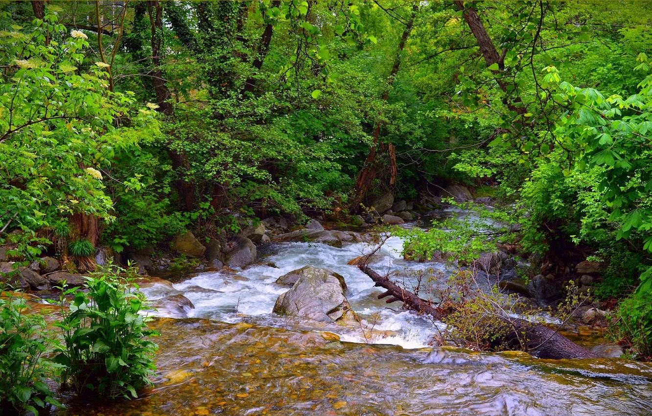 Spring Streams Wallpapers - Top Free Spring Streams Backgrounds ...
