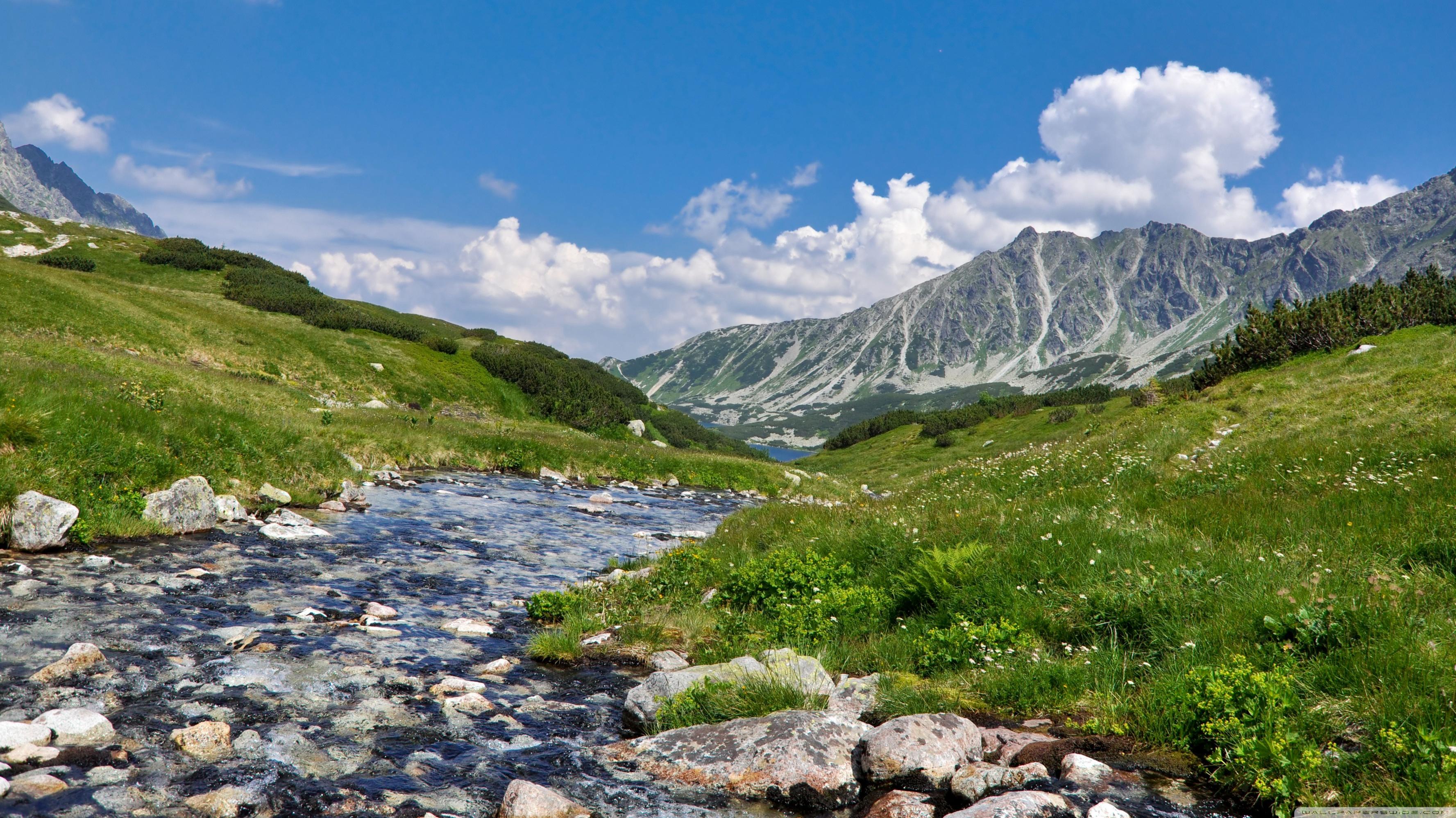 Spring Streams Wallpapers - Top Free Spring Streams Backgrounds ...