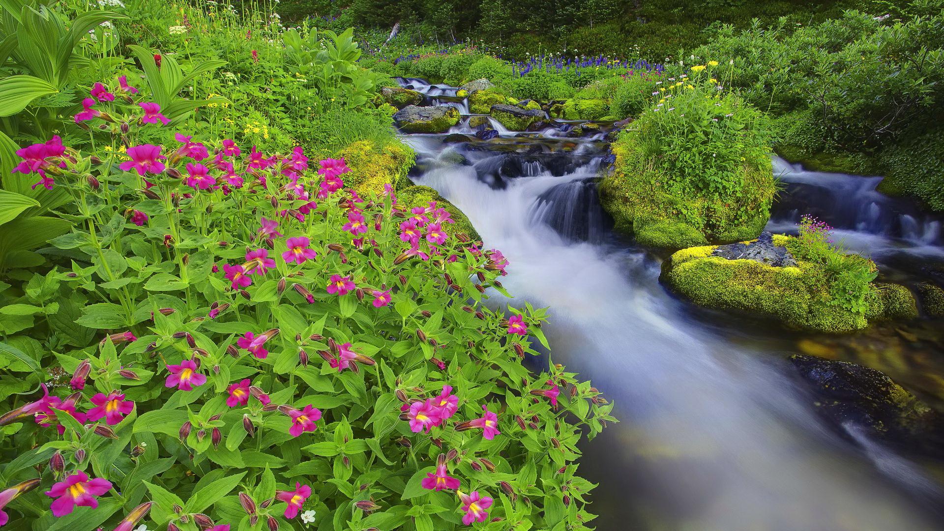 Spring Streams Wallpapers - Top Free Spring Streams Backgrounds ...
