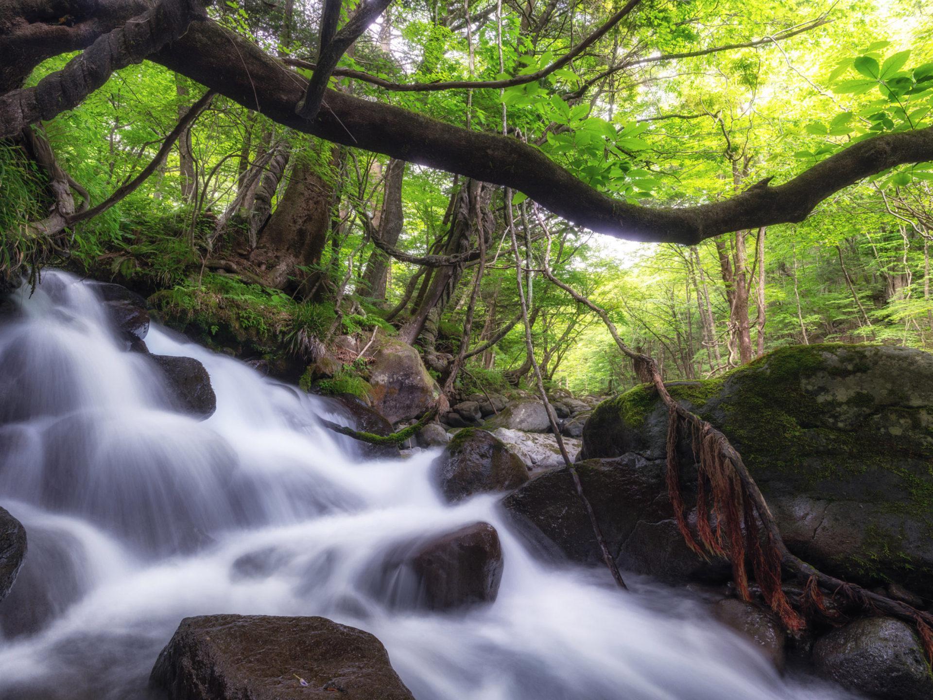 Spring Streams Wallpapers - Top Free Spring Streams Backgrounds ...